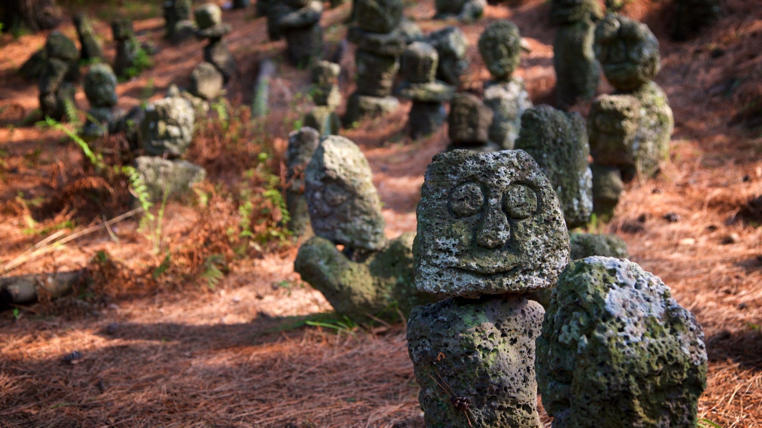 Visitez Hallim: le meilleur de Hallim, Jeju pour 2023 | Expedia