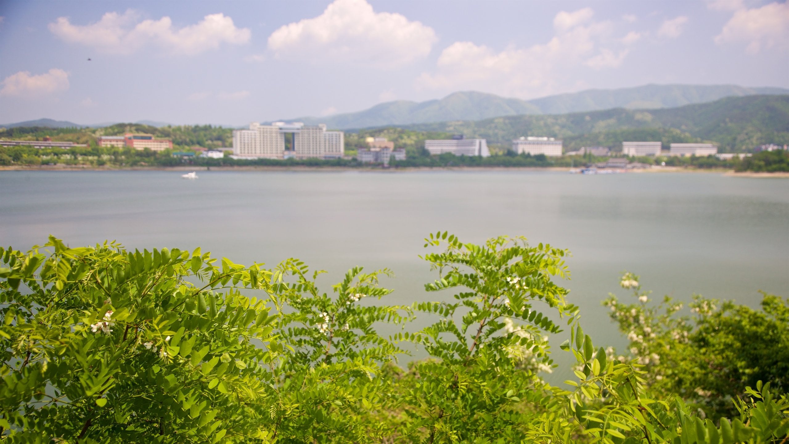 Bomun Lake Tours - Book Now | Expedia