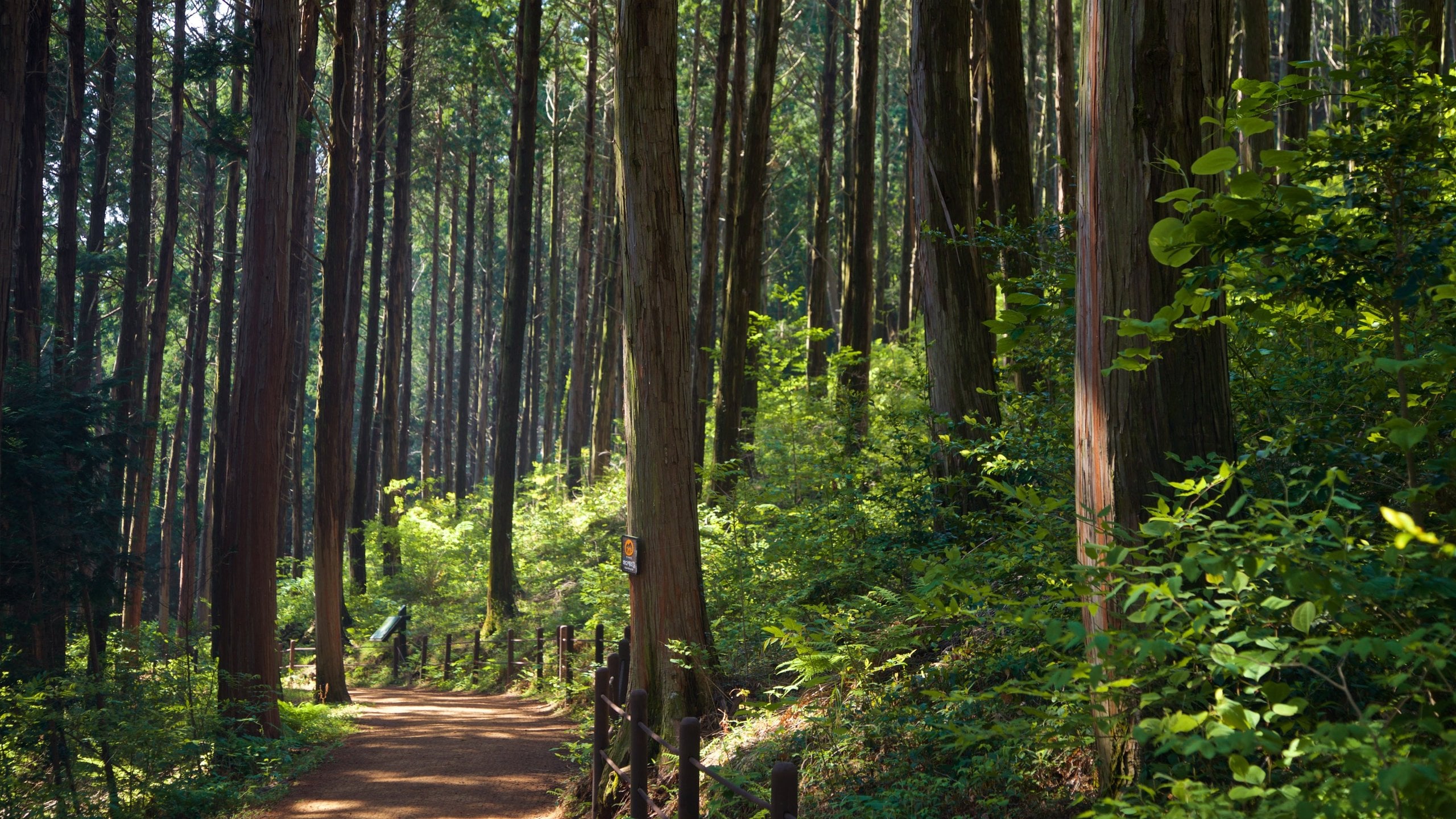 Visit South Gyeongsang: Best of South Gyeongsang Tourism | Expedia ...