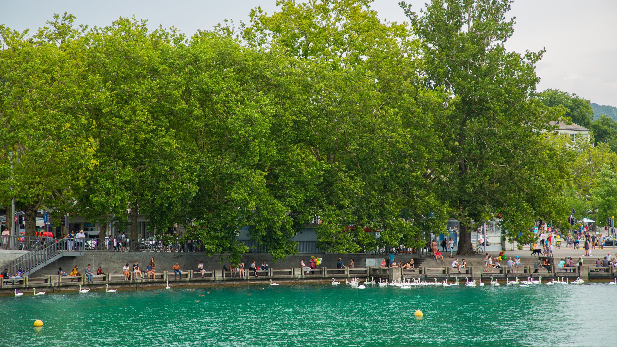 Lakeside Promenade Tours - Book Now | Expedia