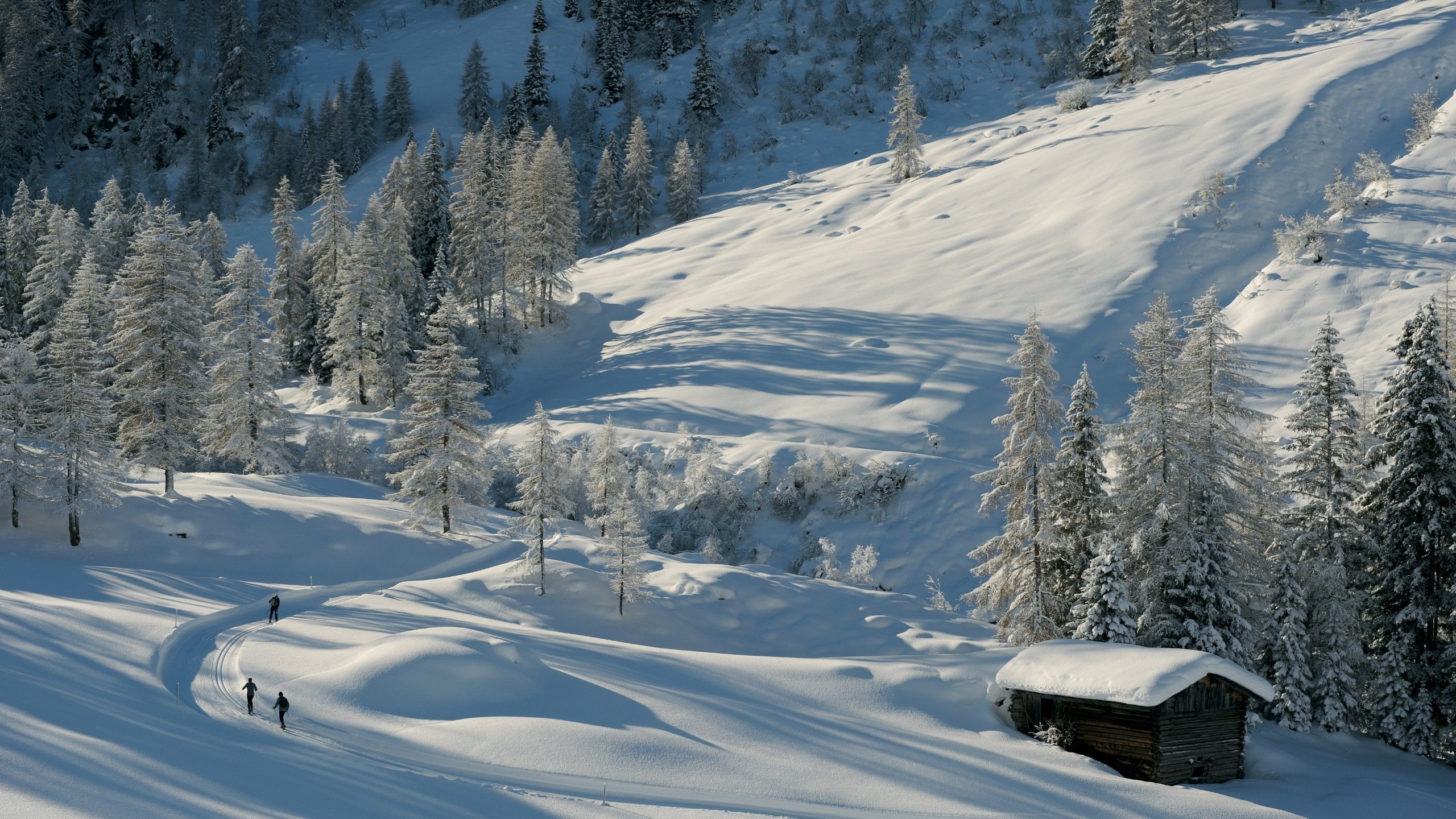 Klosters-Serneus, CH Vacation Rentals: house rentals & more | Vrbo