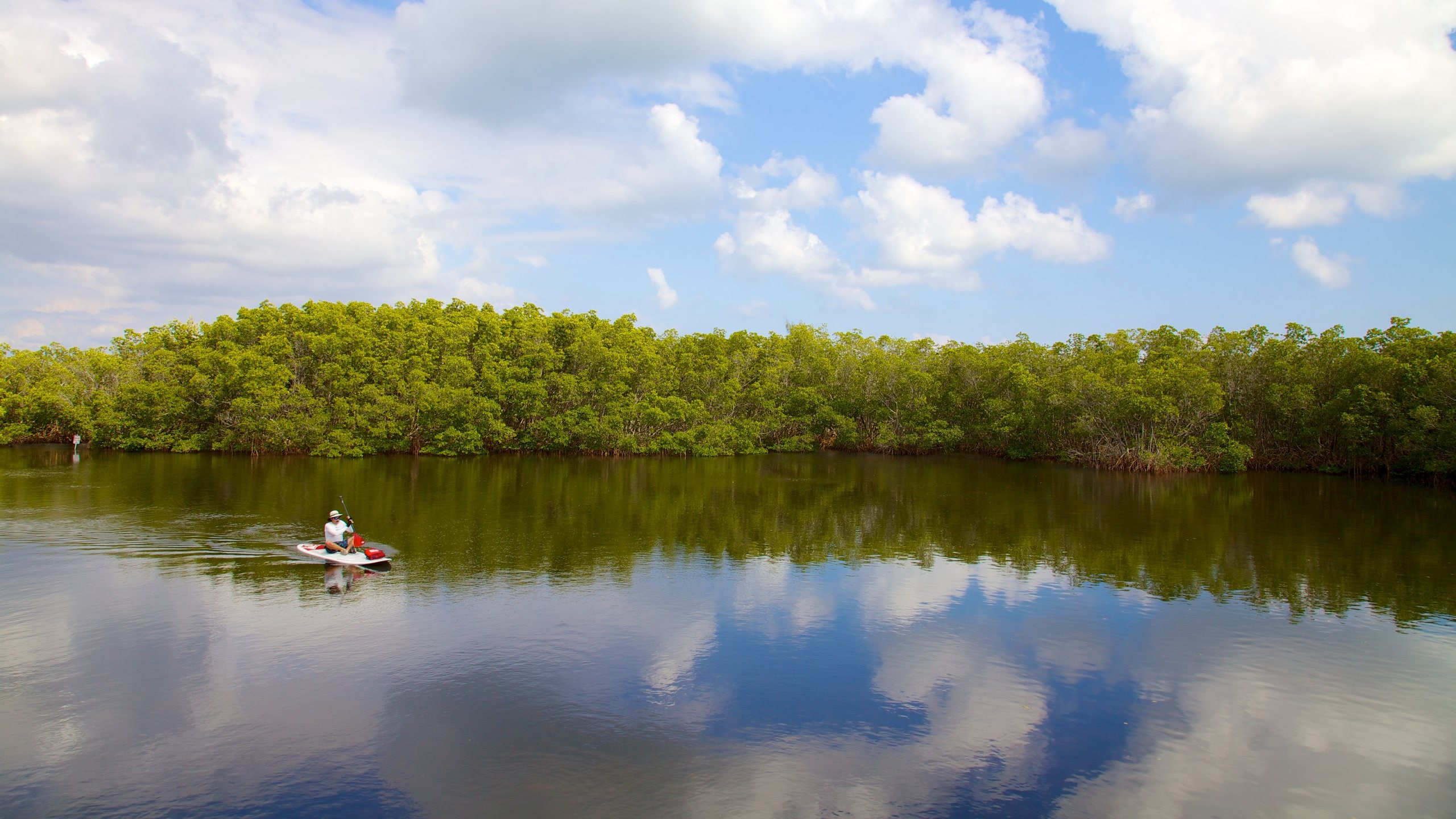 Weedon Island Preserve, Saint Petersburg Vacation Rentals: boat rentals ...