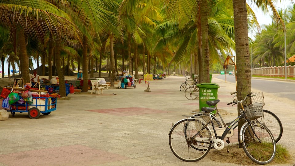 Hoi An mostrando cenas de rua e cenas tropicais