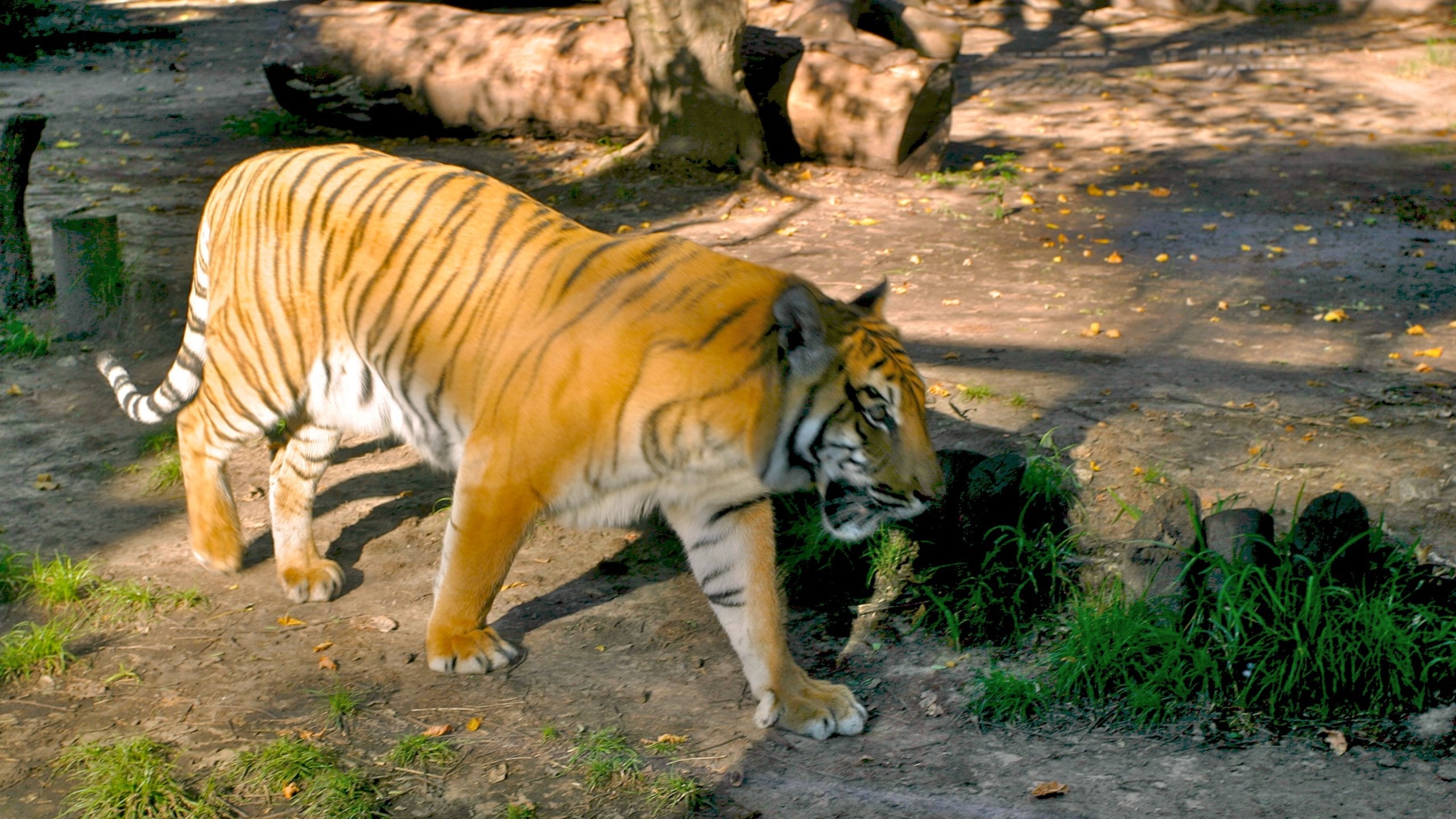 Zoologico De Palermo Horarios
