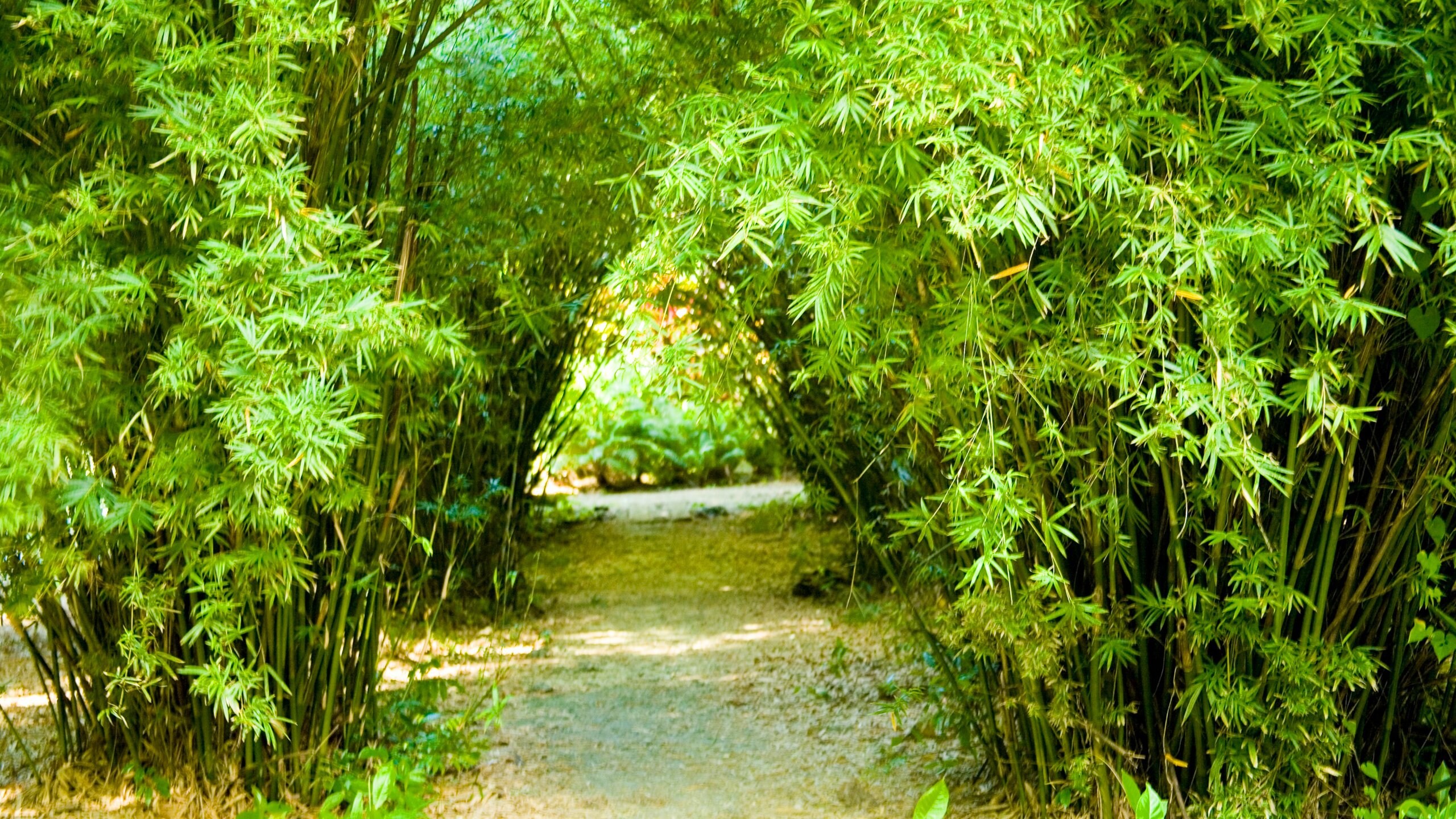 Turtle Beach in Ocho Rios - Tours and Activities | Expedia