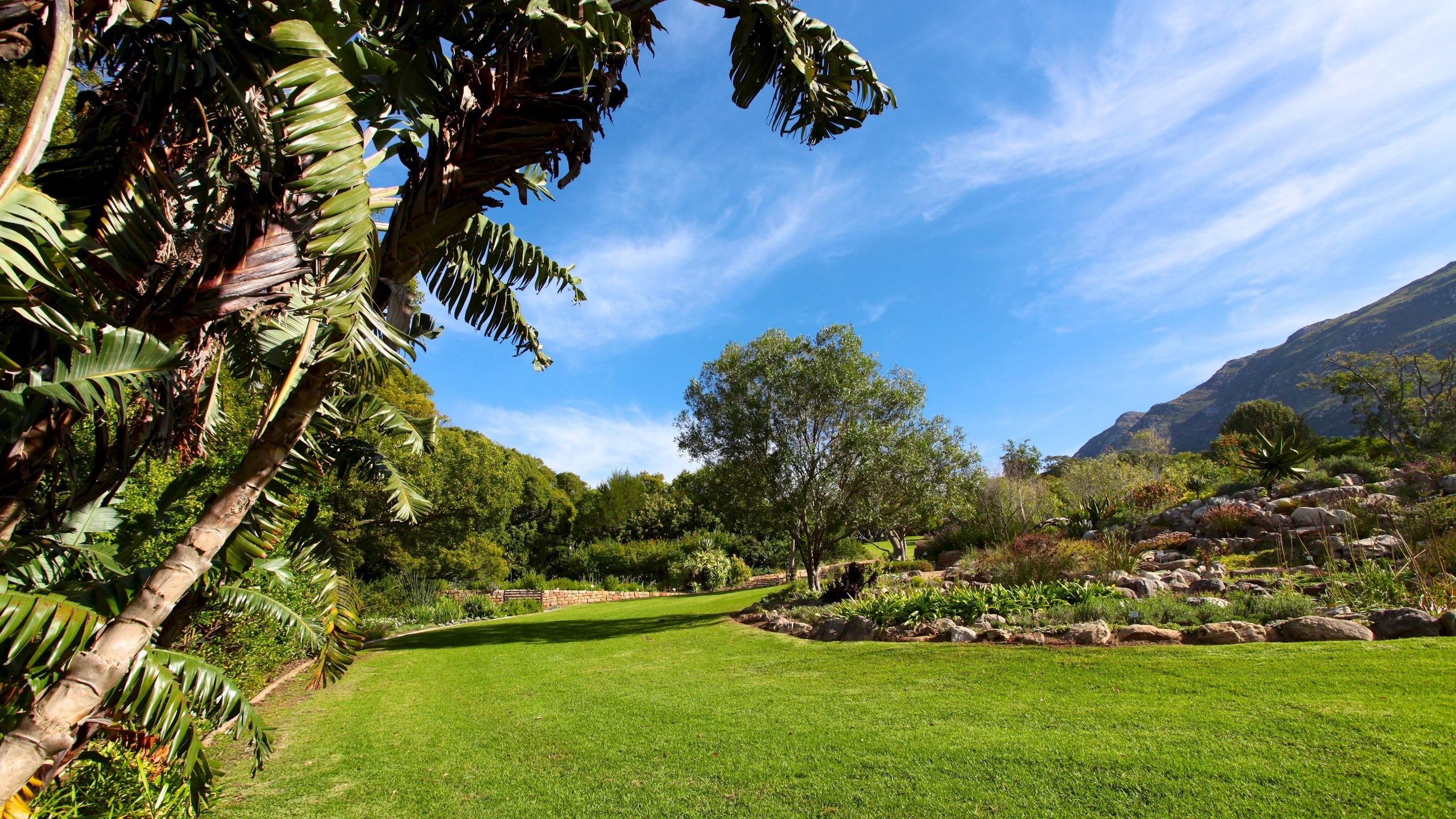 Visit Newlands: 2024 Newlands, Cape Town Travel Guide | Expedia