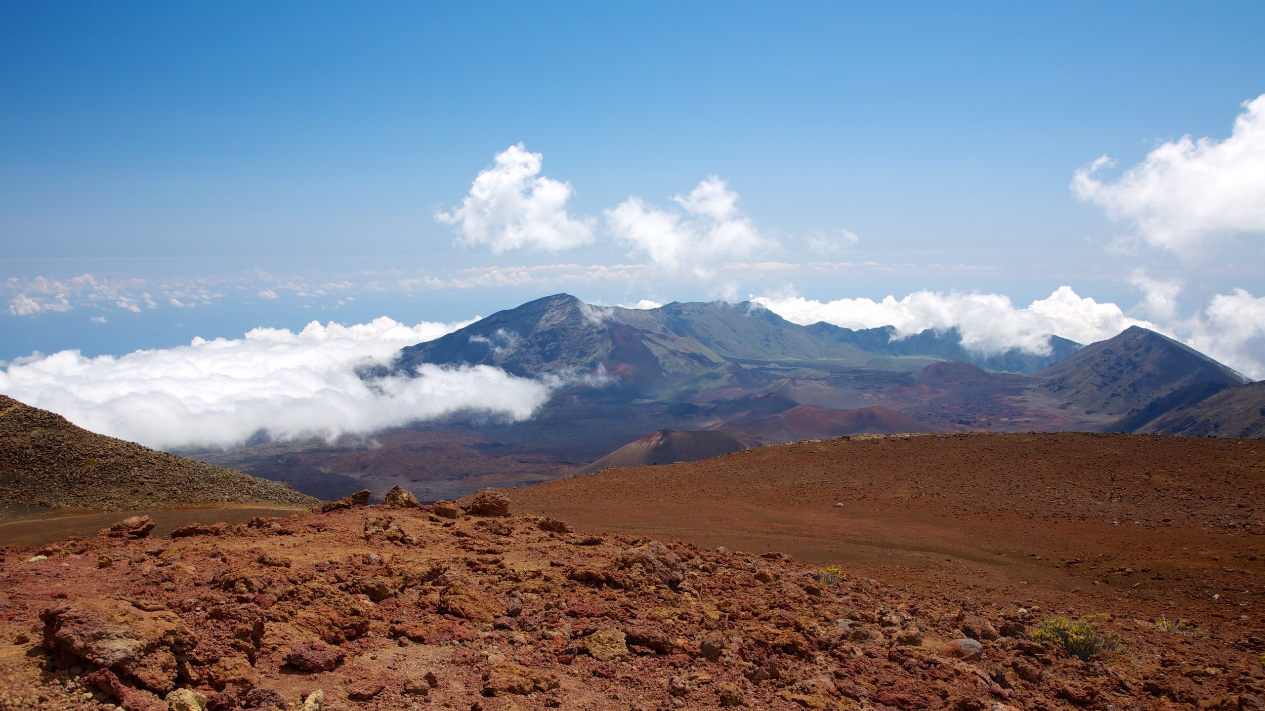 Visit Kula: 2024 Travel Guide for Kula, Hawaii | Expedia