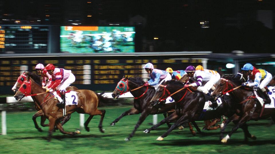 Happy Valley mostrando um evento desportivo e cavalgada