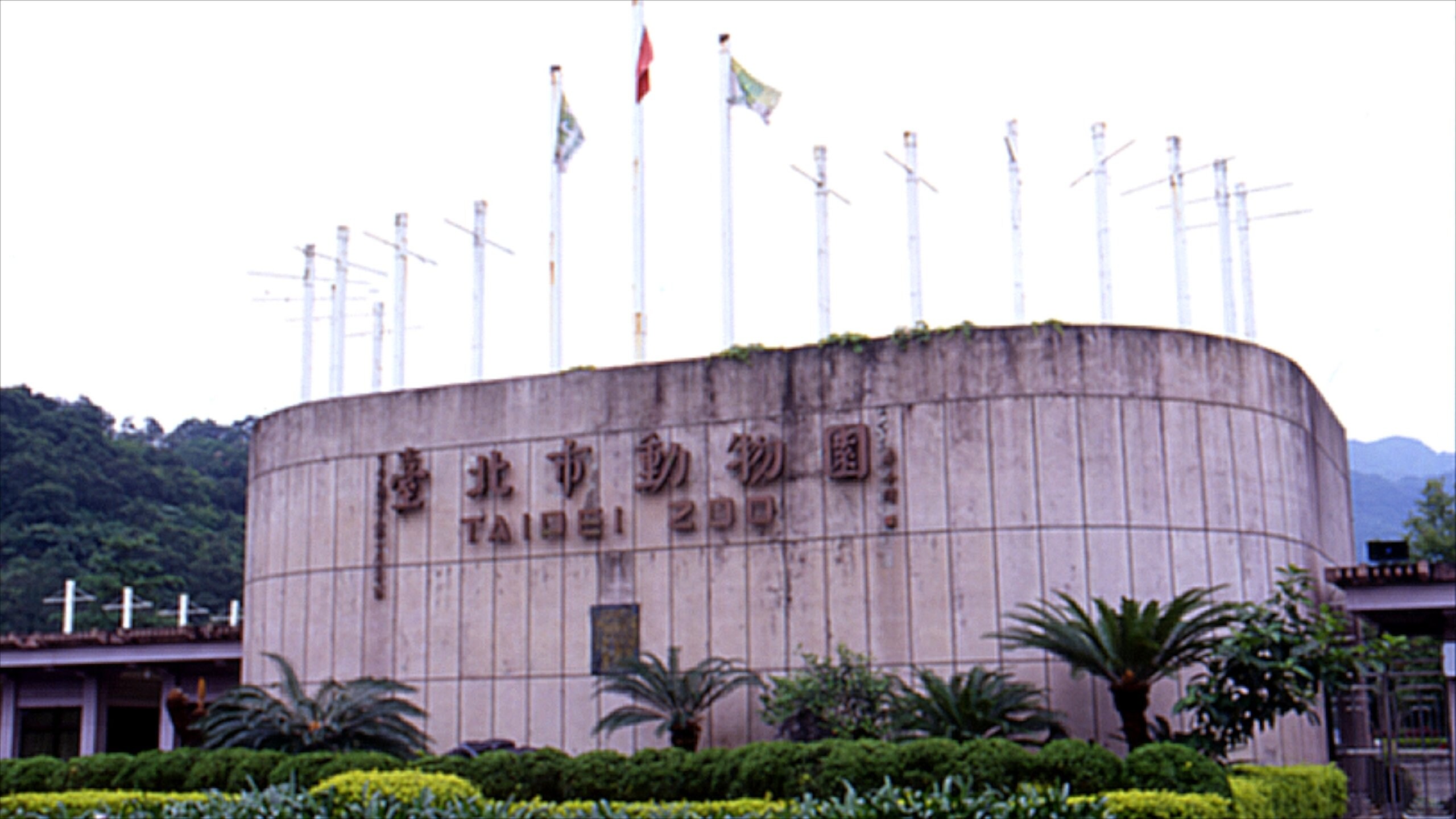 Taipei Zoo Guide And Tips To Make The Most Of Your Visit Taipei