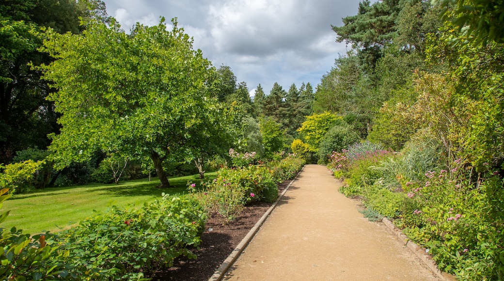 Visitez Northumberland: guide touristique 2024 | Expedia.fr Visitez Northumberland: guide touristique 2024 | Expedia.fr
