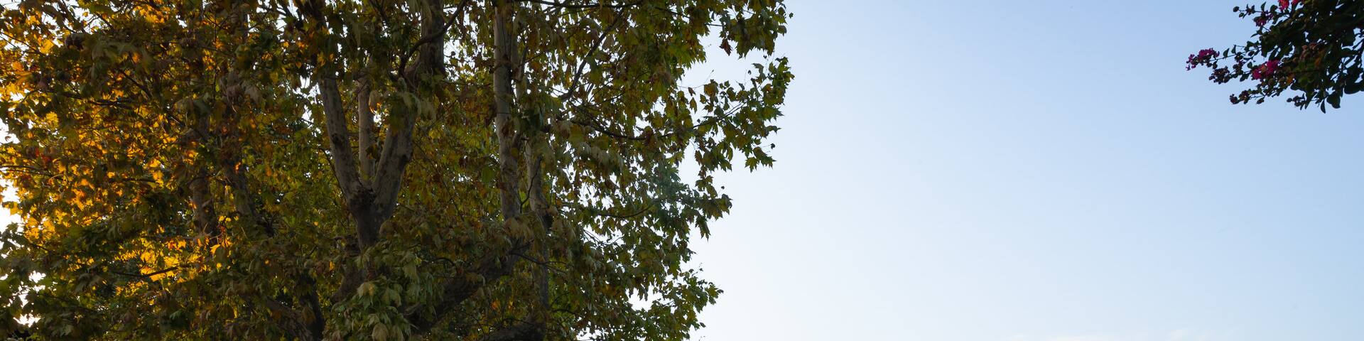 Castiglione di Ravenna, Ravenna, Emilia-Romagna, Itália