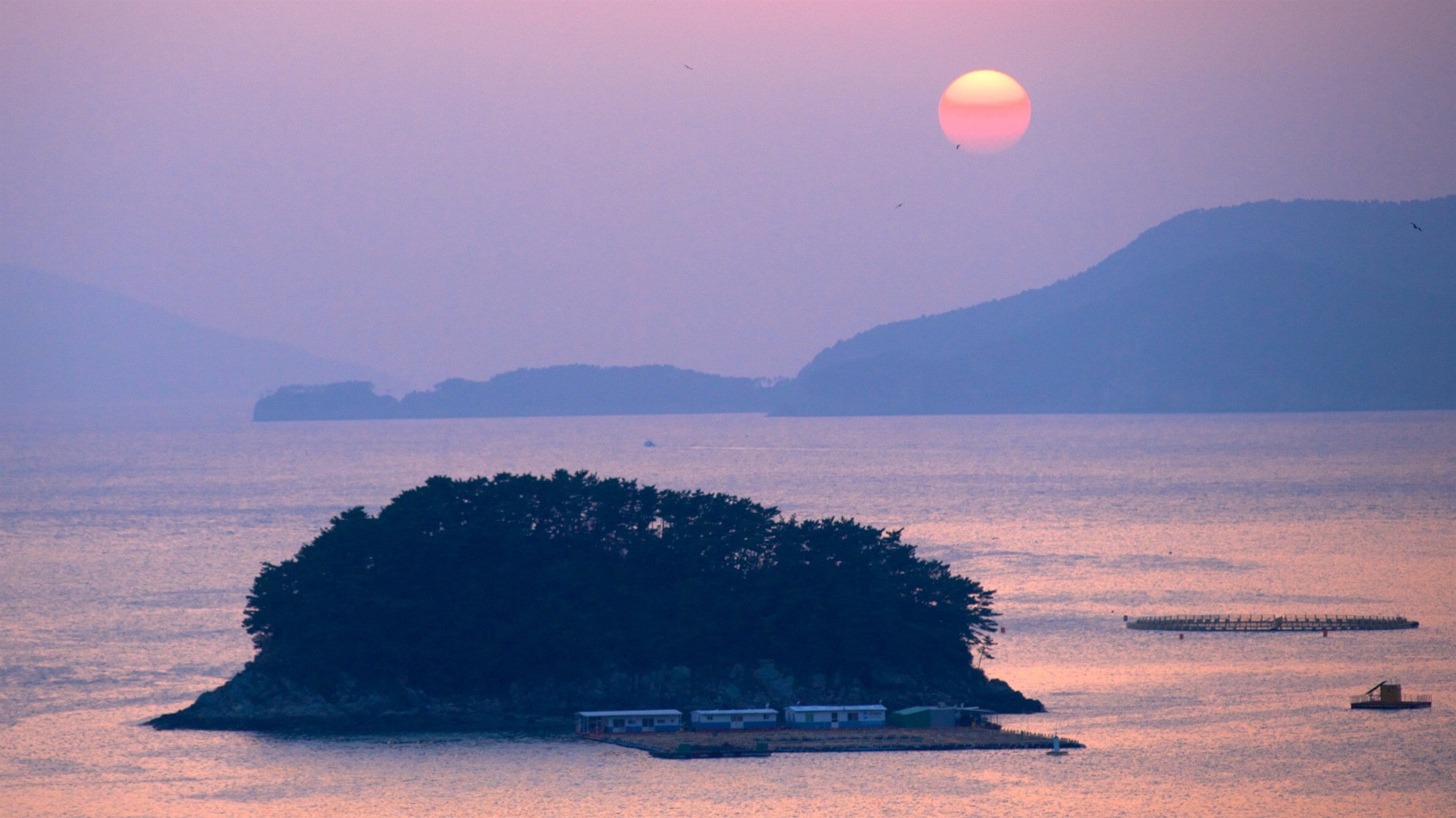 Visit Busan: Best of Busan Tourism | Expedia Travel Guide