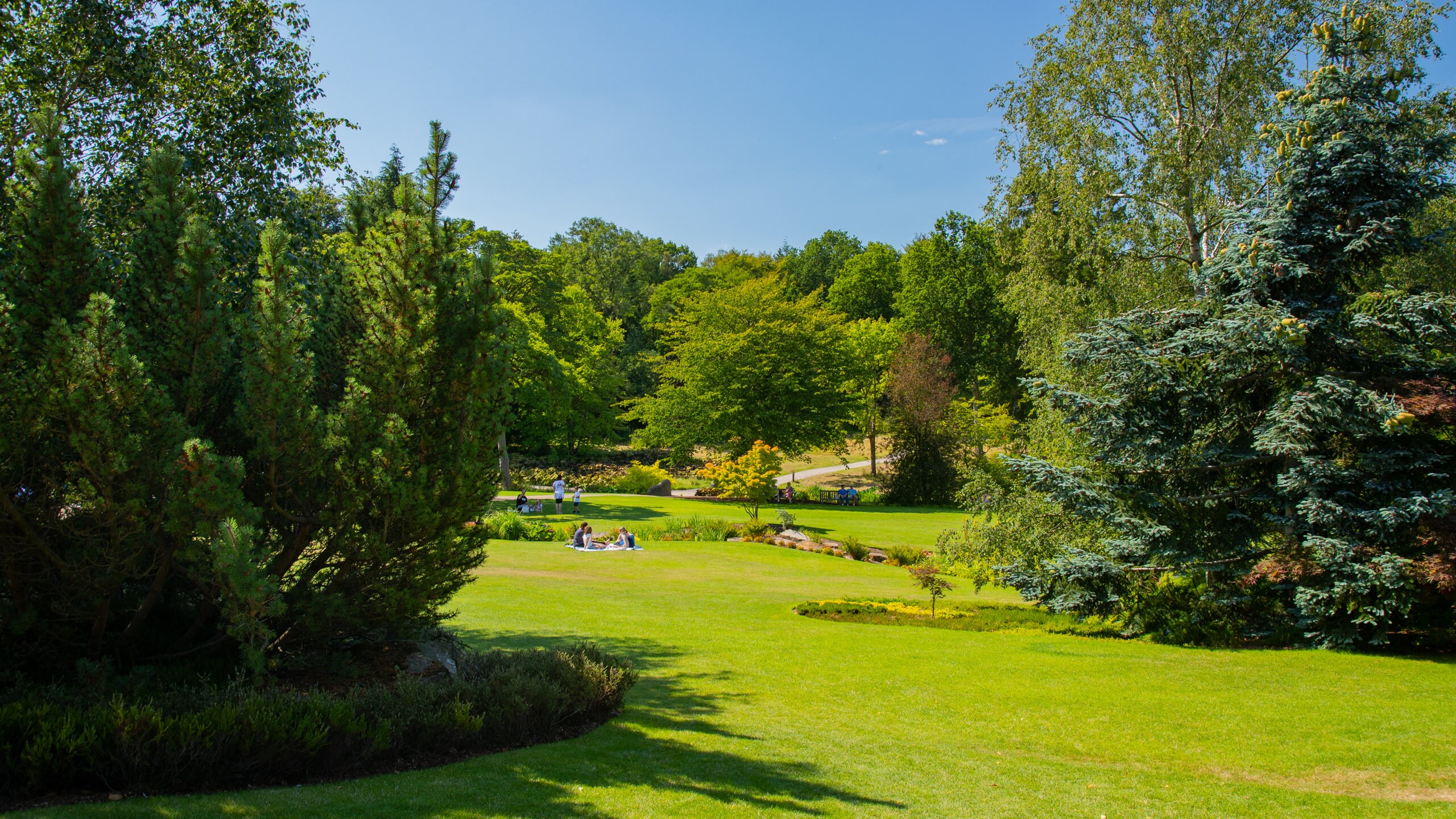 Harrogate Botanical Gardens | Fasci Garden