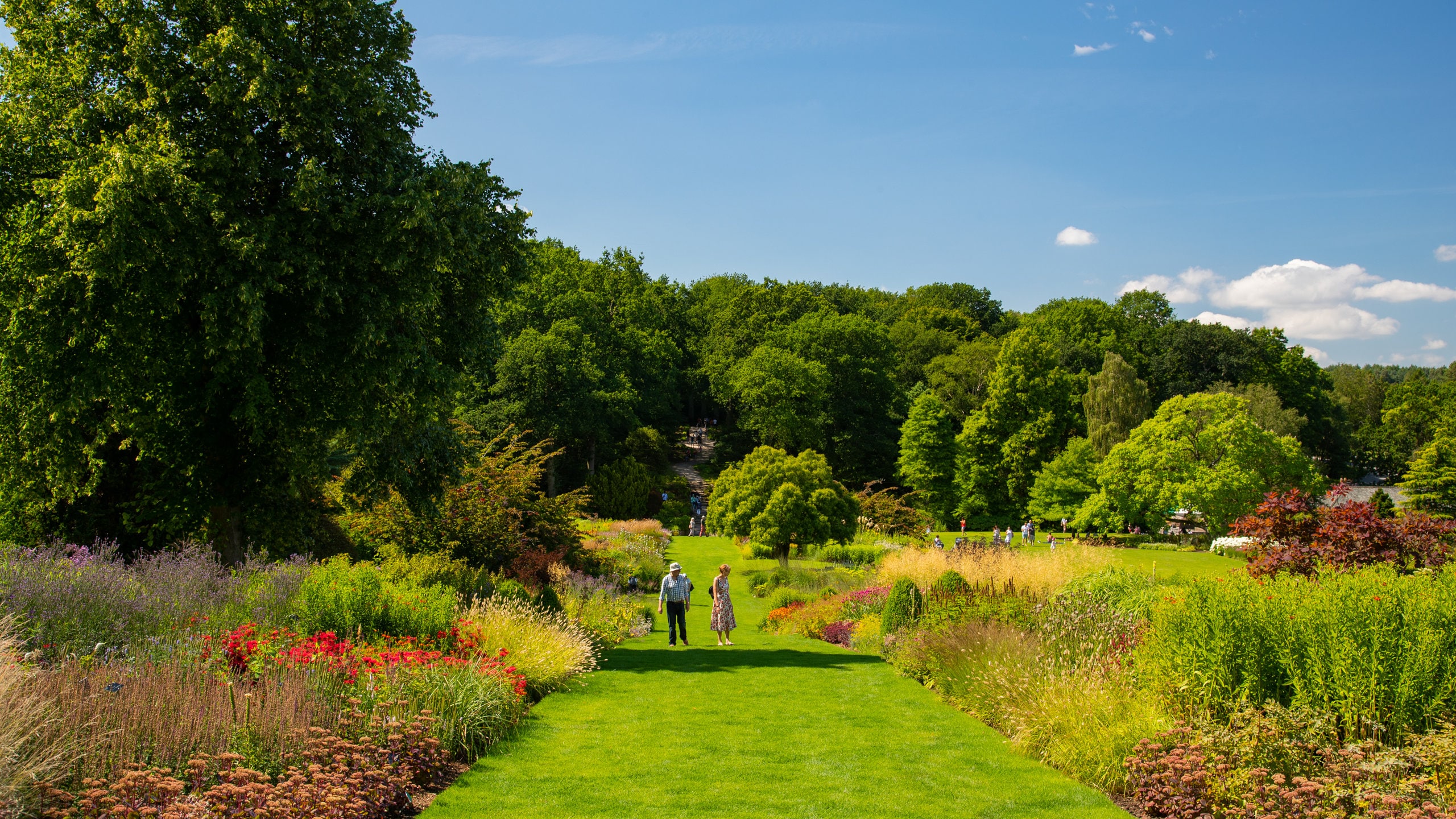 Harrogate Botanical Gardens | Fasci Garden