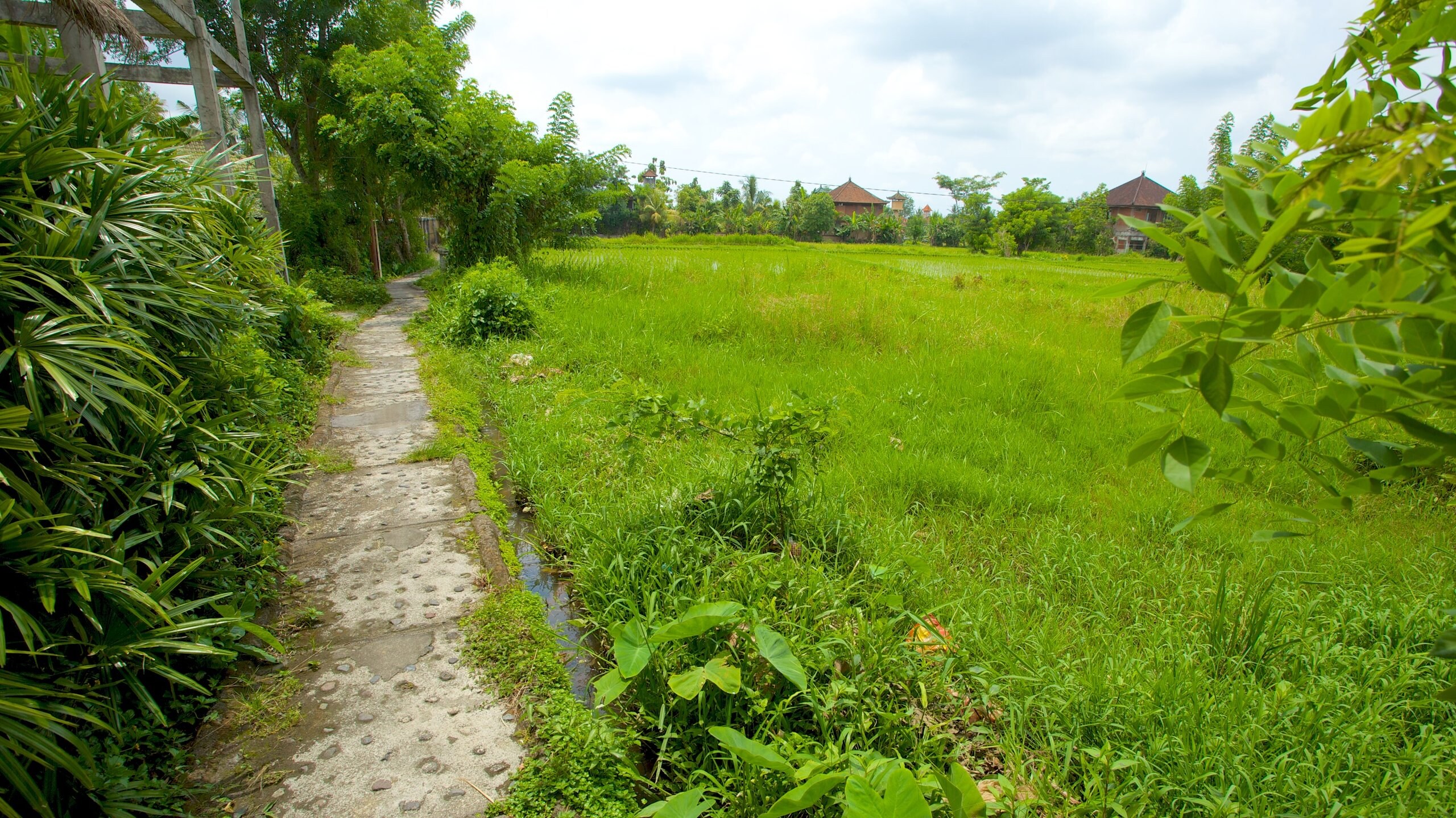Visit Ubud City-Centre: 2023 Ubud City-Centre, Ubud Travel Guide | Expedia