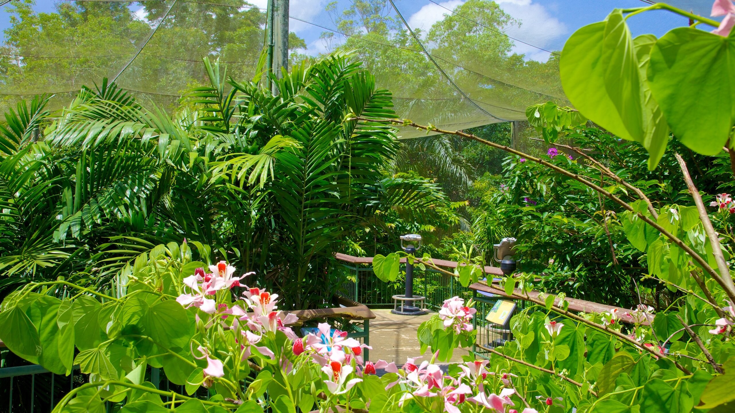 Miradero holiday rentals: chalets & more | Vrbo