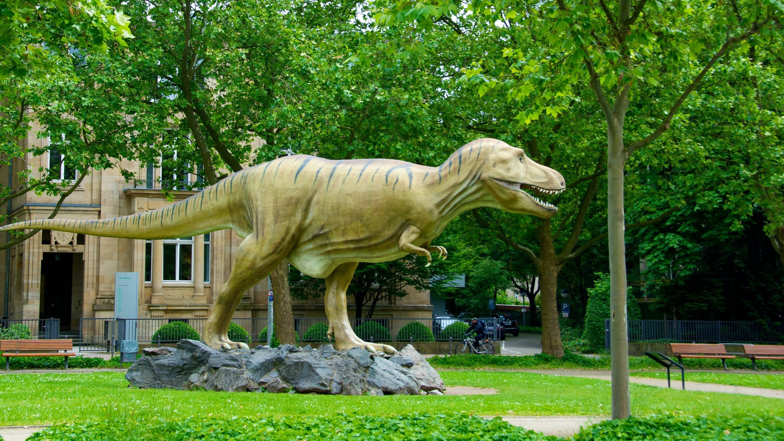 Senckenberg Museum in Westend-Süd | Expedia