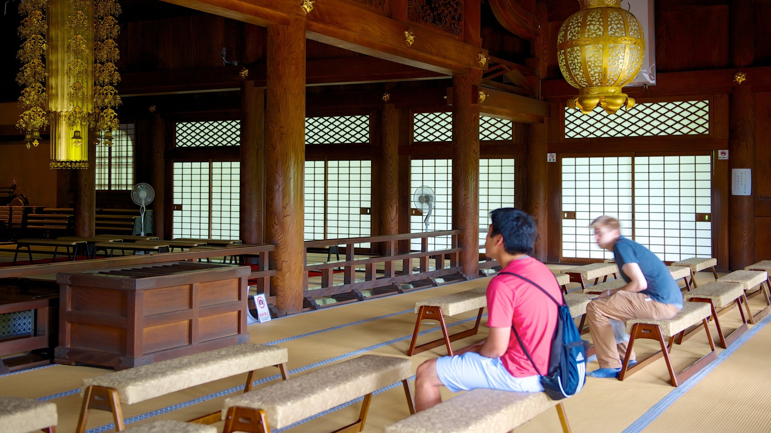 Visita Okazaki: scopri il meglio di Okazaki, Kyoto, nel 2024 | Viaggia ...