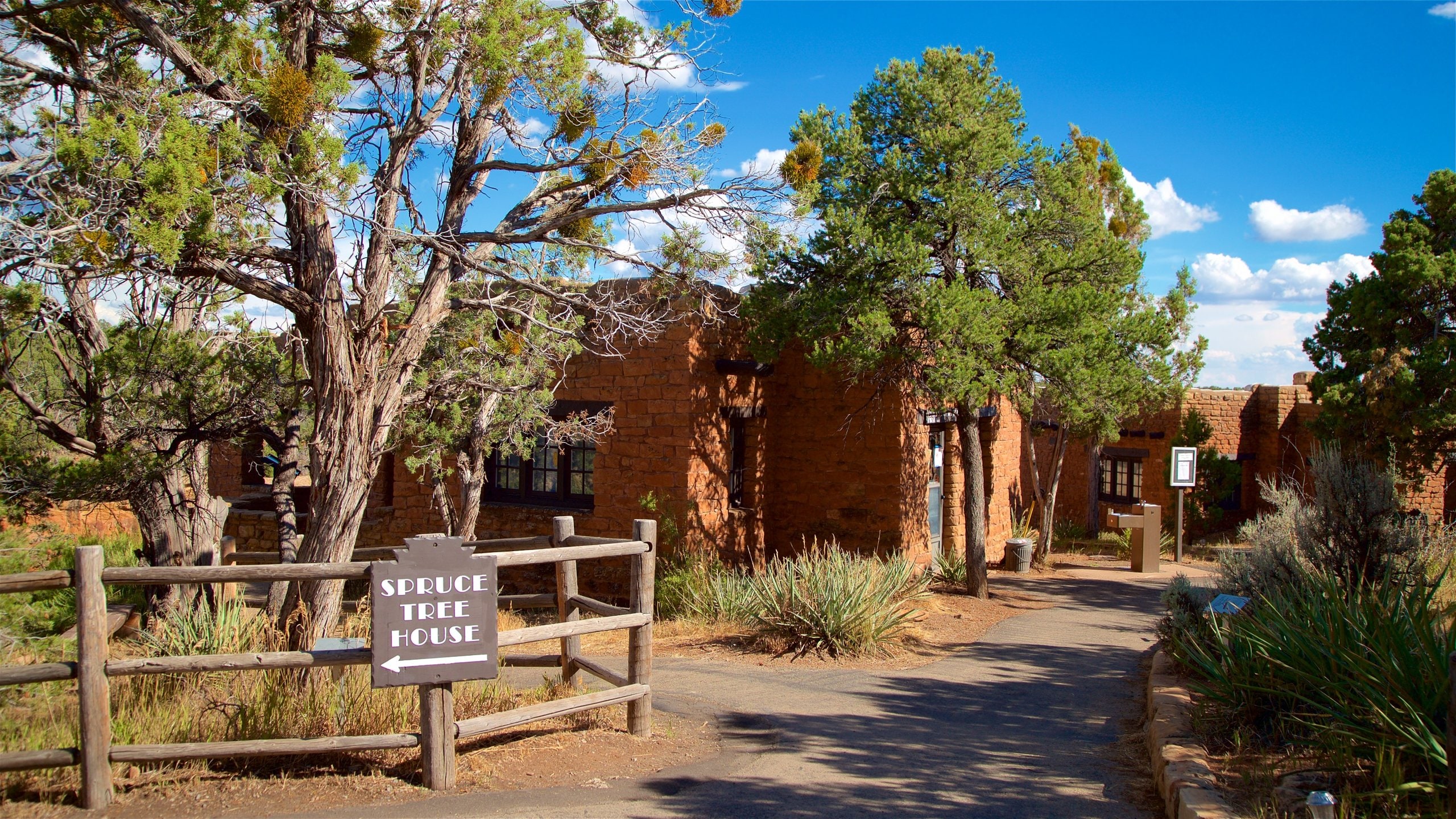 Spruce Tree House, US holiday rentals: cabins & more | Vrbo