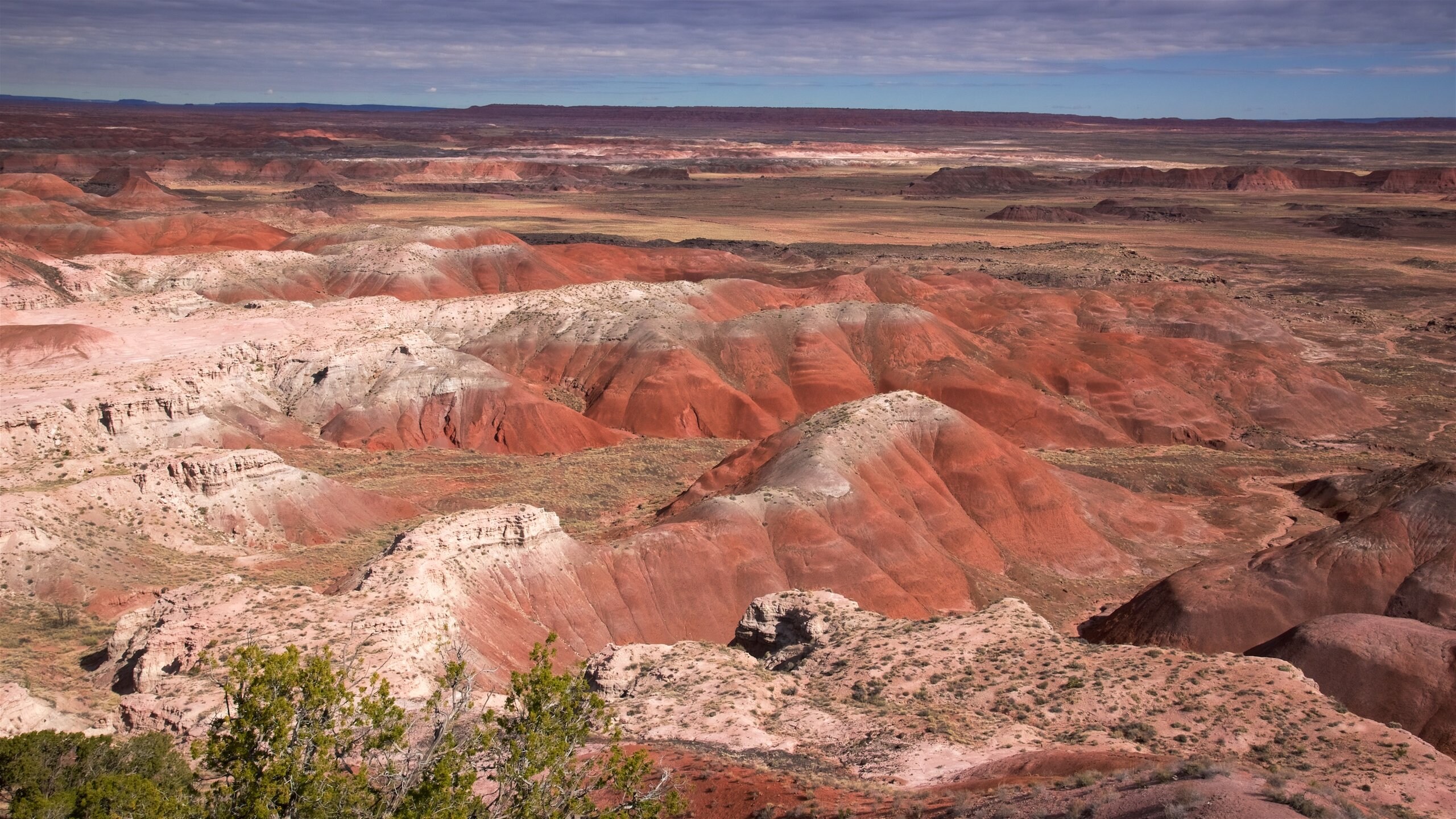 Coconino National Forest Picnic Ground Painted Desert Vista