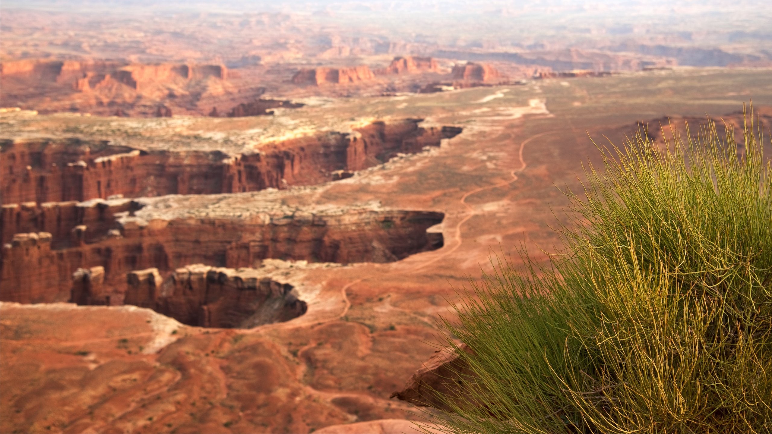 Grand View Point Trailhead Vacation Rentals: house rentals & more | Vrbo