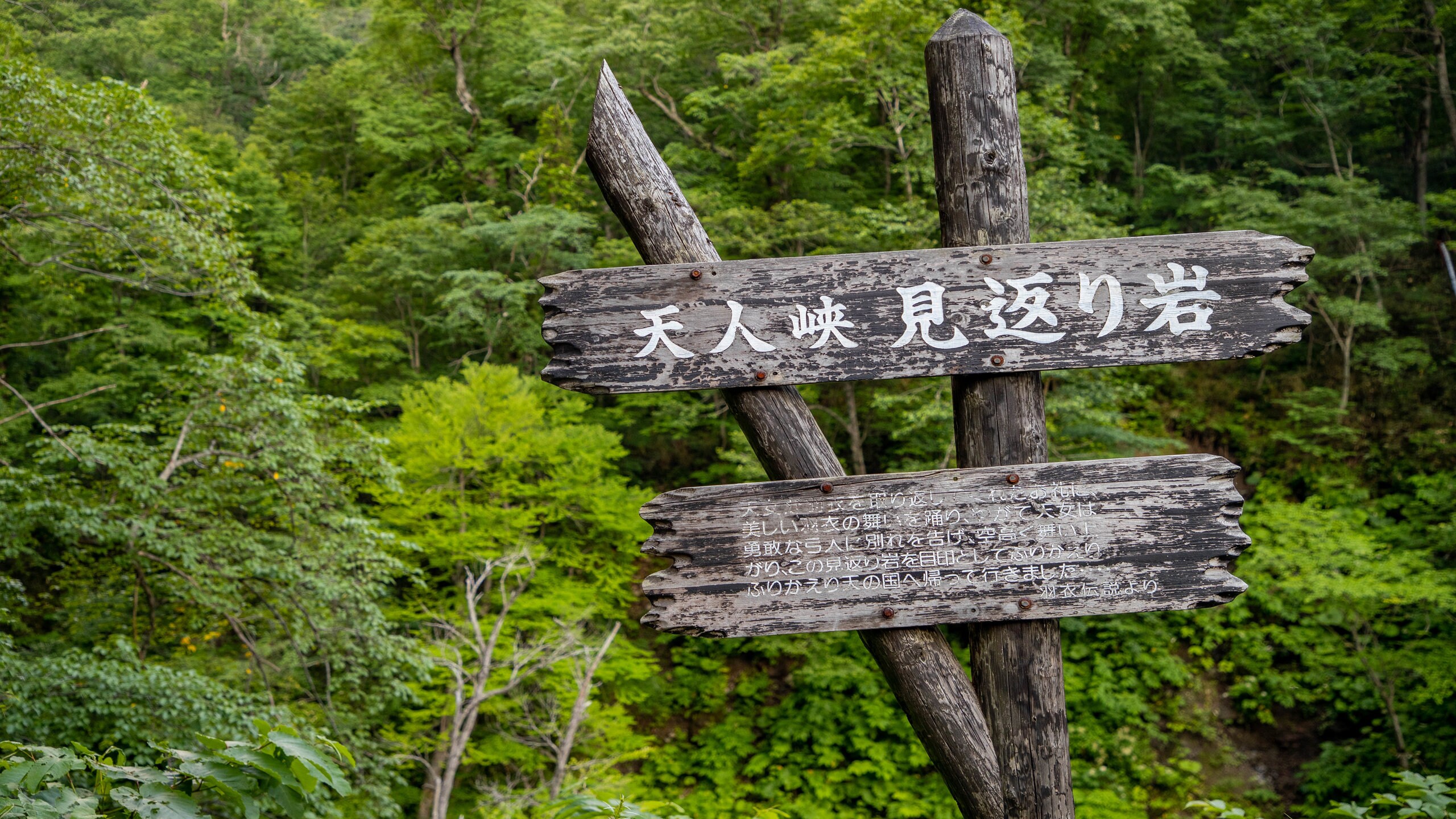 Visit Higashikawa: Best of Higashikawa, Hokkaido Travel 2023 | Expedia ...