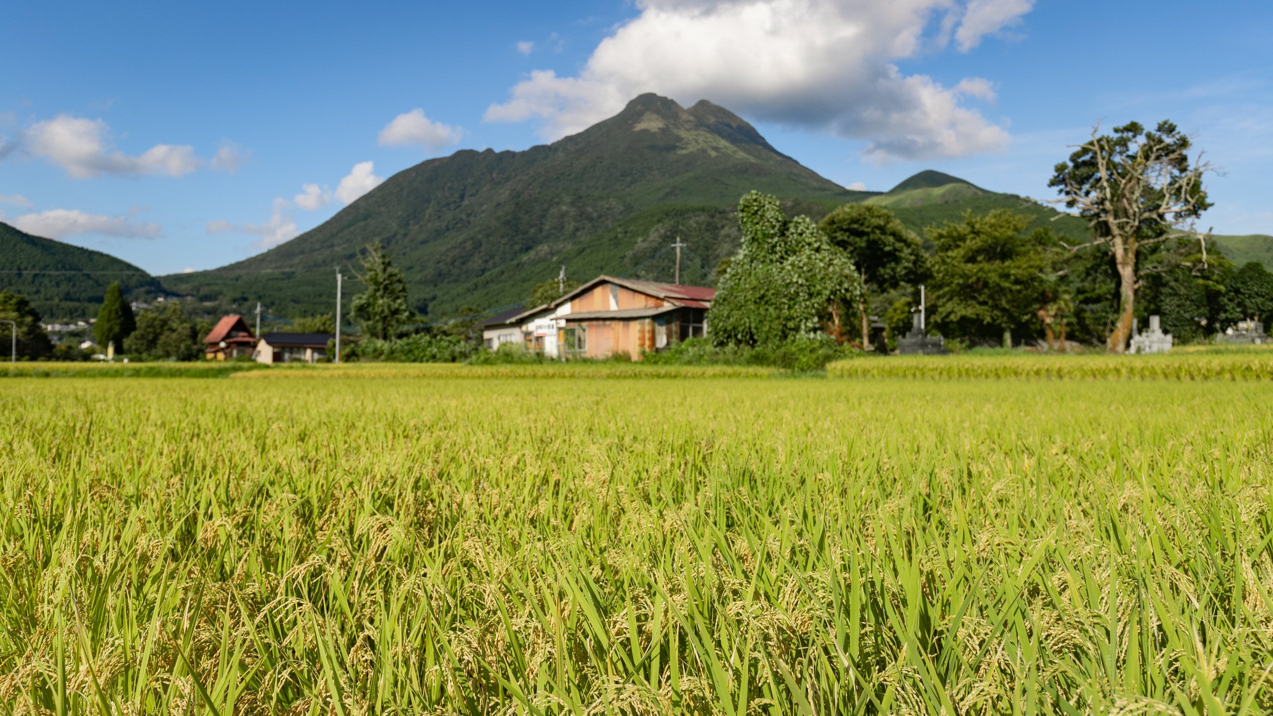 Top 10 Spas in Yufuin $46: Spa Hotels & Resorts in 2020