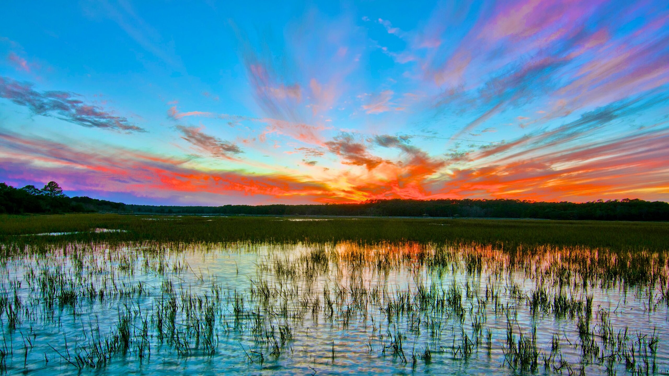 The Best Hotels Closest To Huntington Beach State Park In Myrtle Beach
