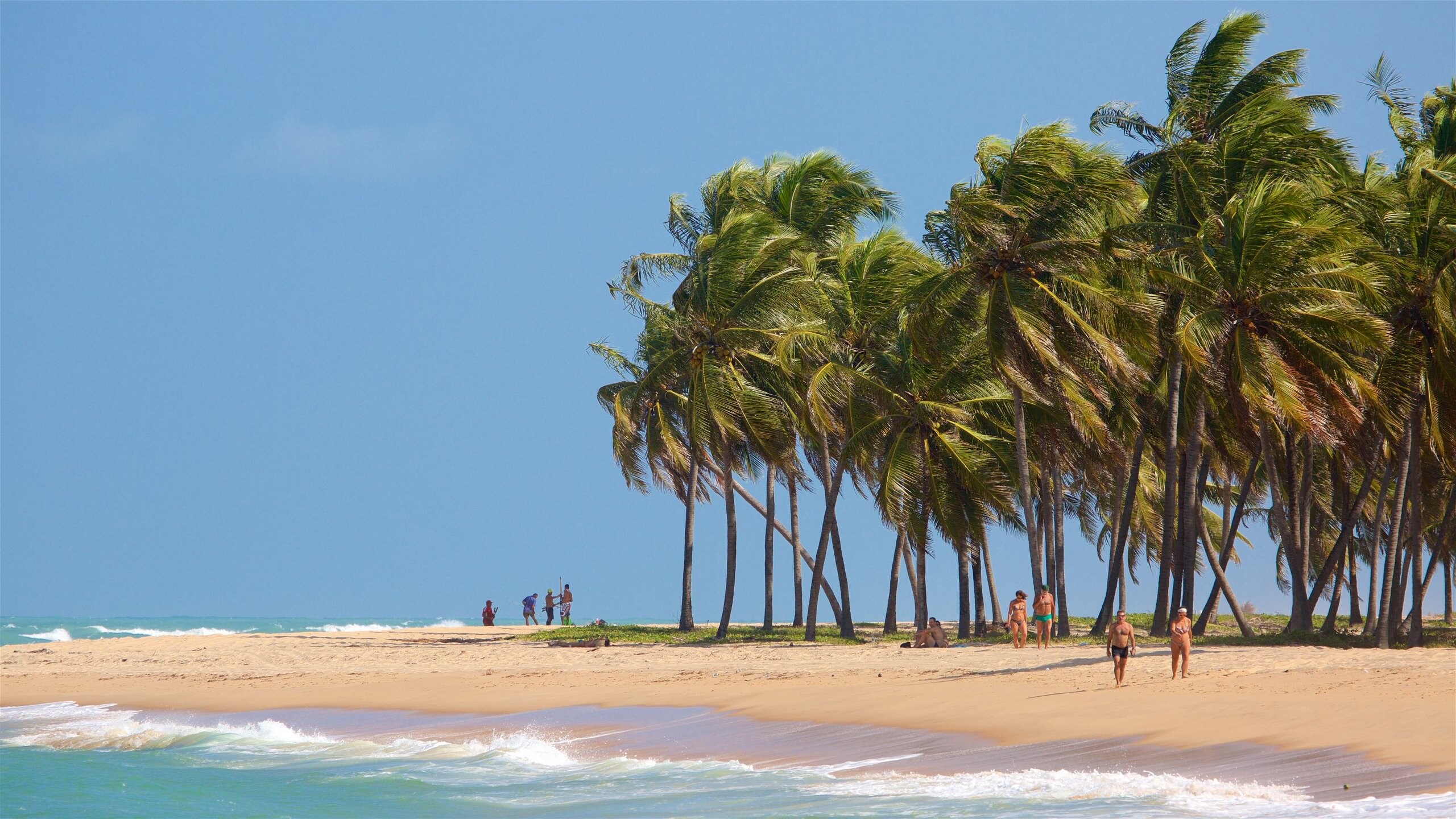Travel Prado: Best of Prado, Visit Maceió | Expedia Tourism
