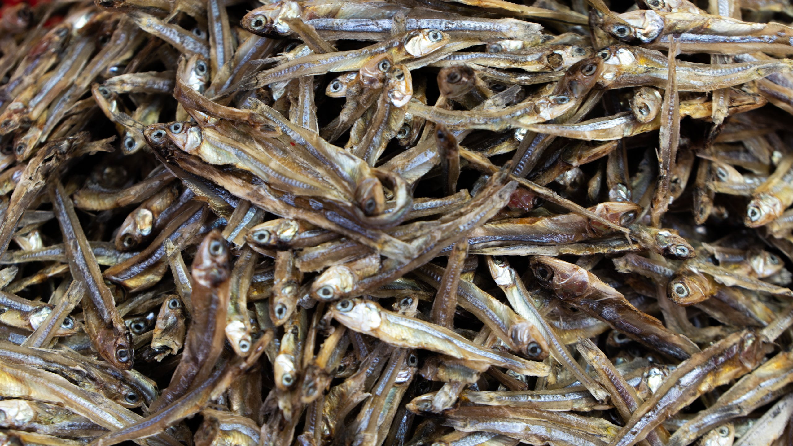 Visit Sham Shui Po: Best of Sham Shui Po, Kowloon Travel 2024 | Expedia ...