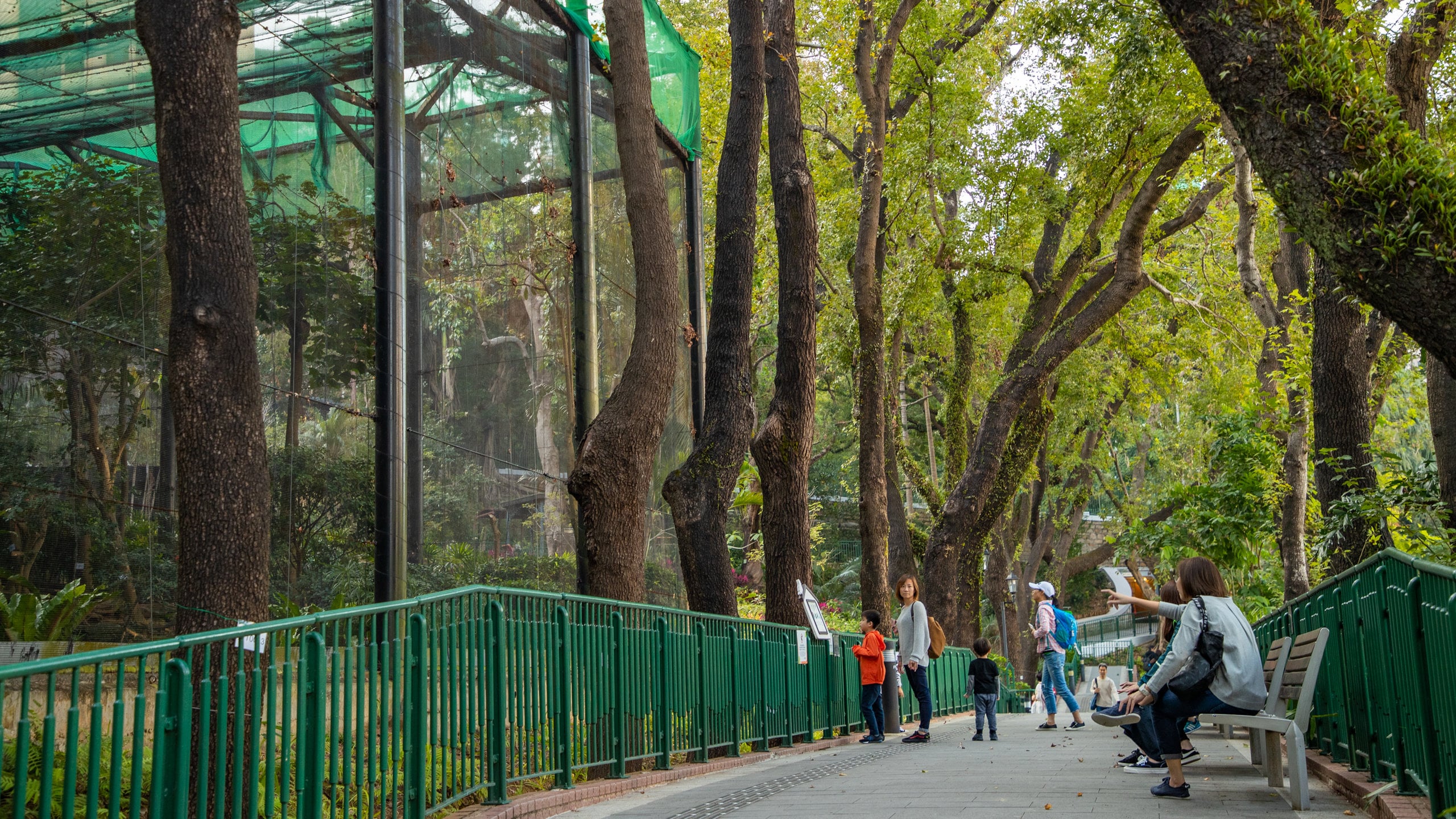 Hong Kong Zoo and Botanical Gardens a Distretto Centrale e Occidentale ...