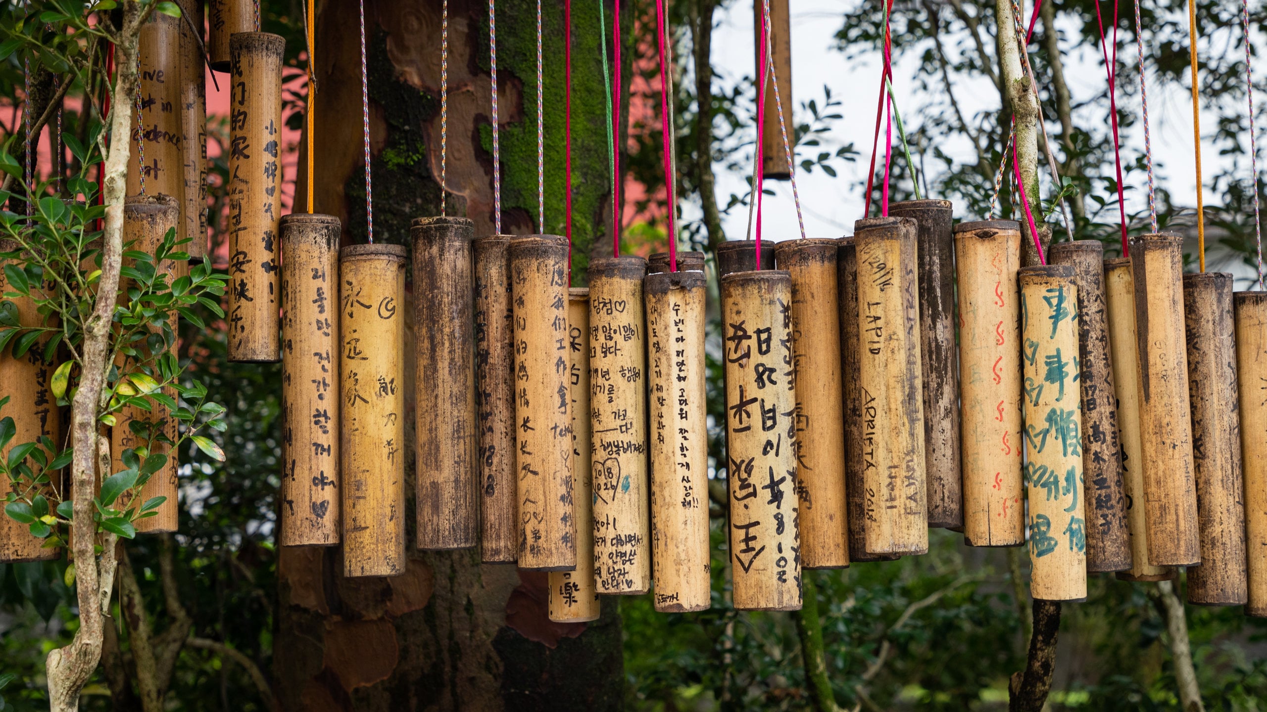 Shifen Old Street - Pingxi District ｜Expedia.com.sg