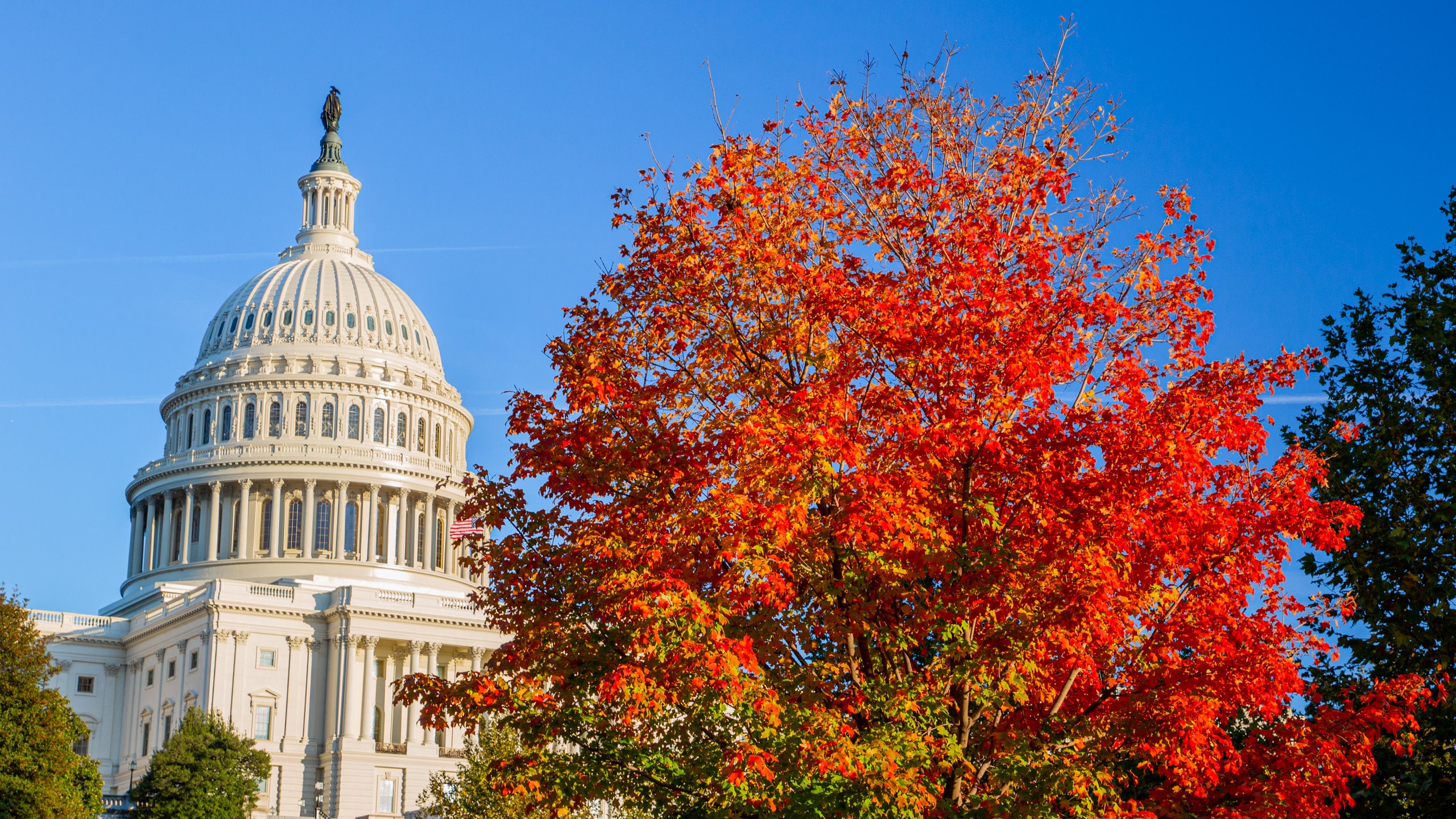United States Capitol Tours - Book Now | Expedia