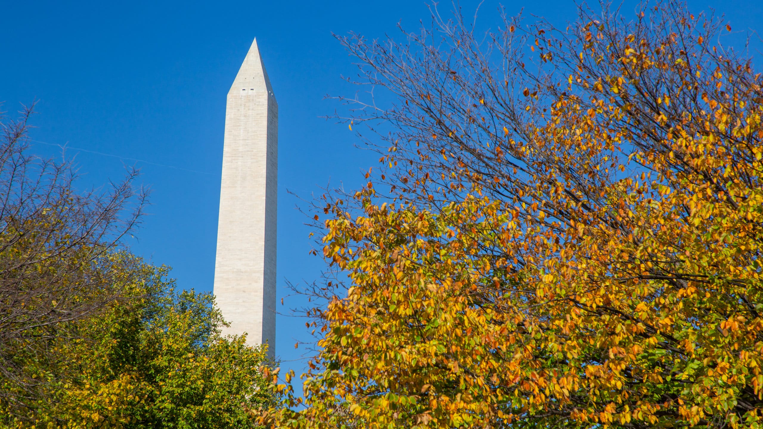 Washington Monument Heis Washington Monument Reopens After 3 Year