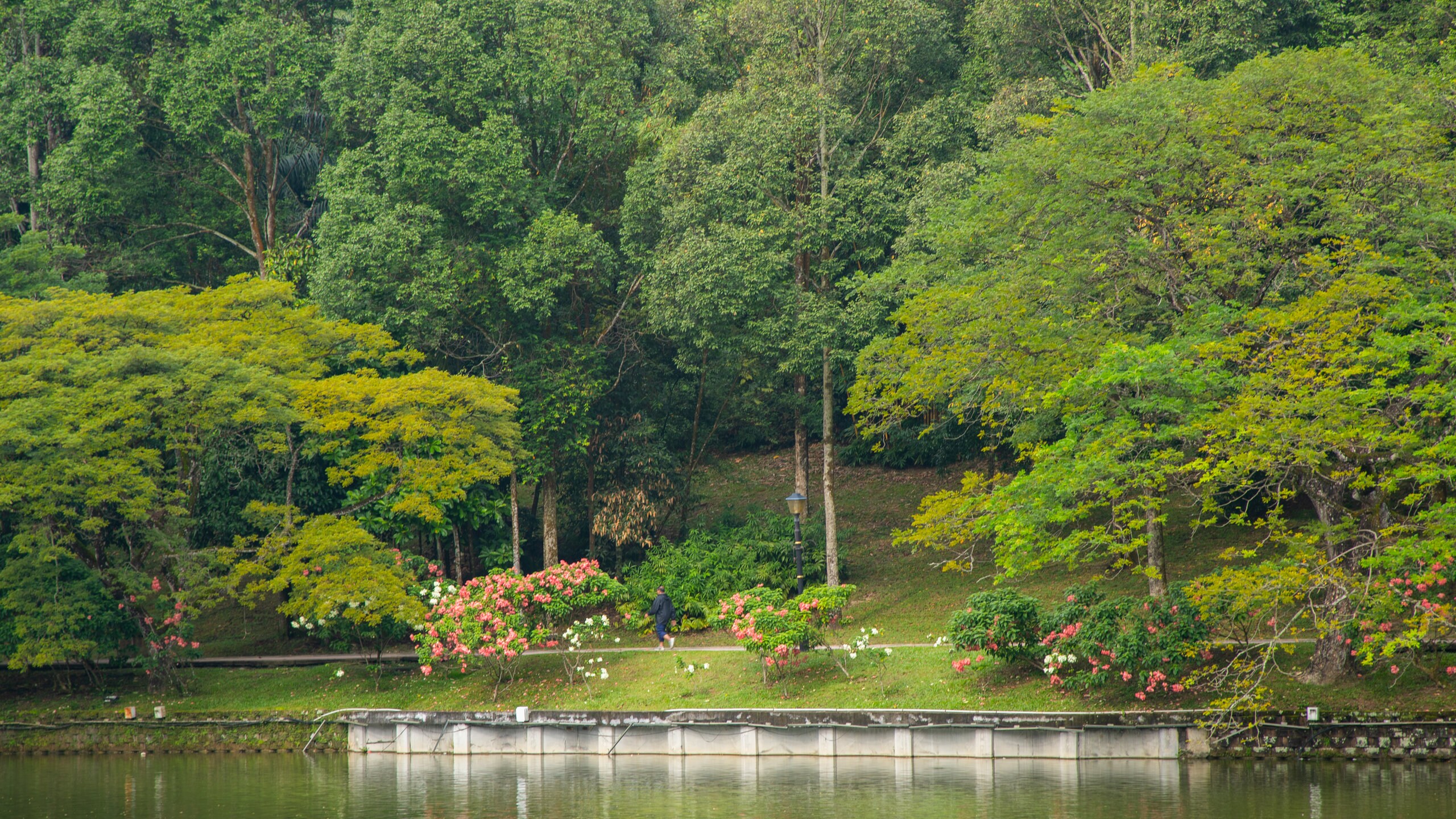 Perdana Botanical Gardens Tours - Book Now | Expedia
