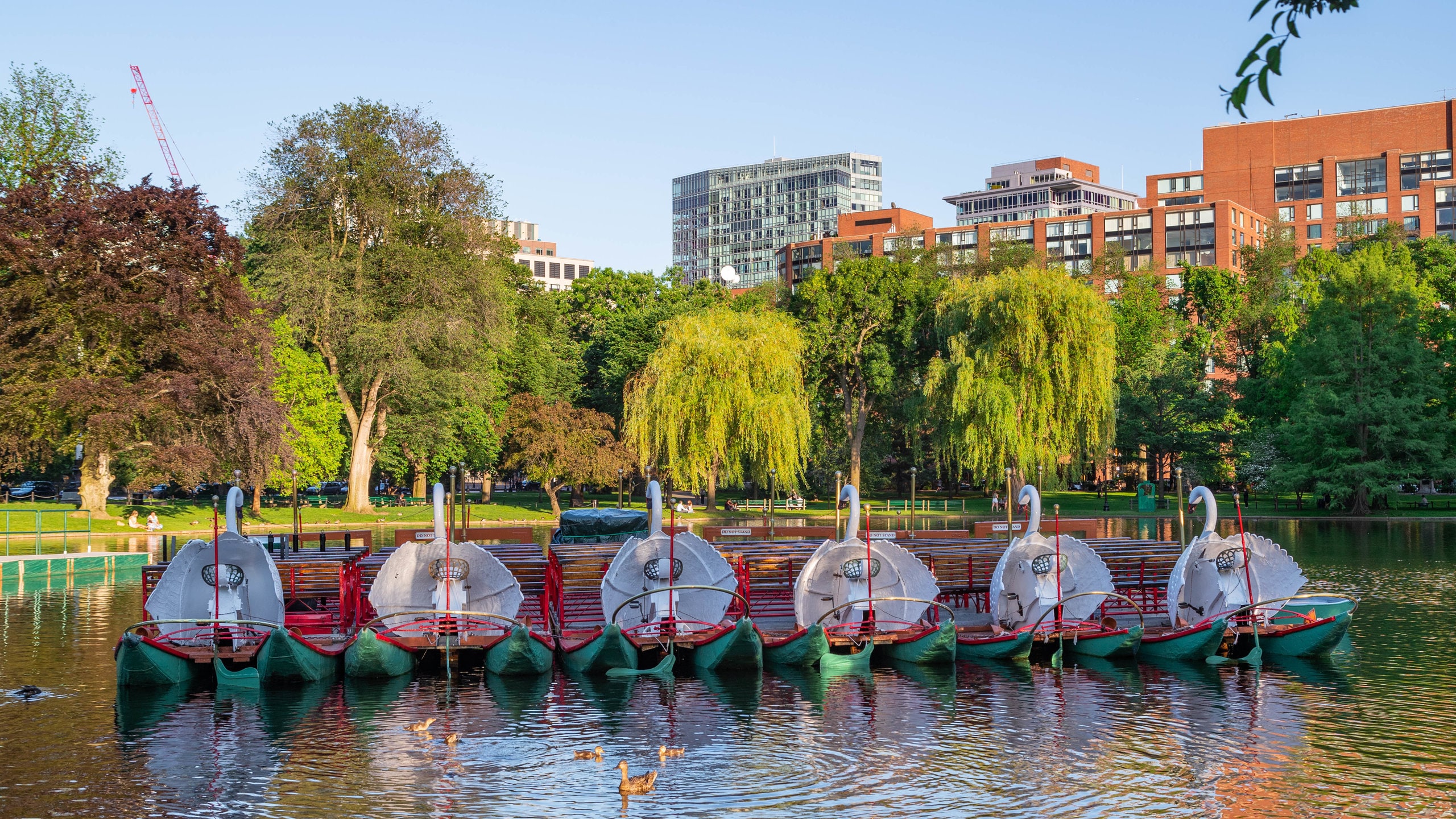 Boston Offentlige Hage Sommer Boston Im Sommer: Die Besten