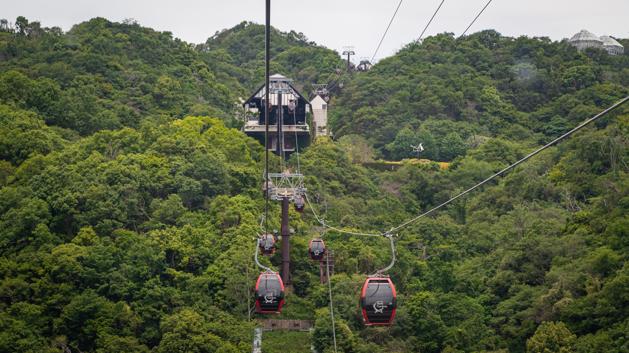 神戸布引ロープウェイ (中央区) - ツアーとアクティビティ | エクスペディア