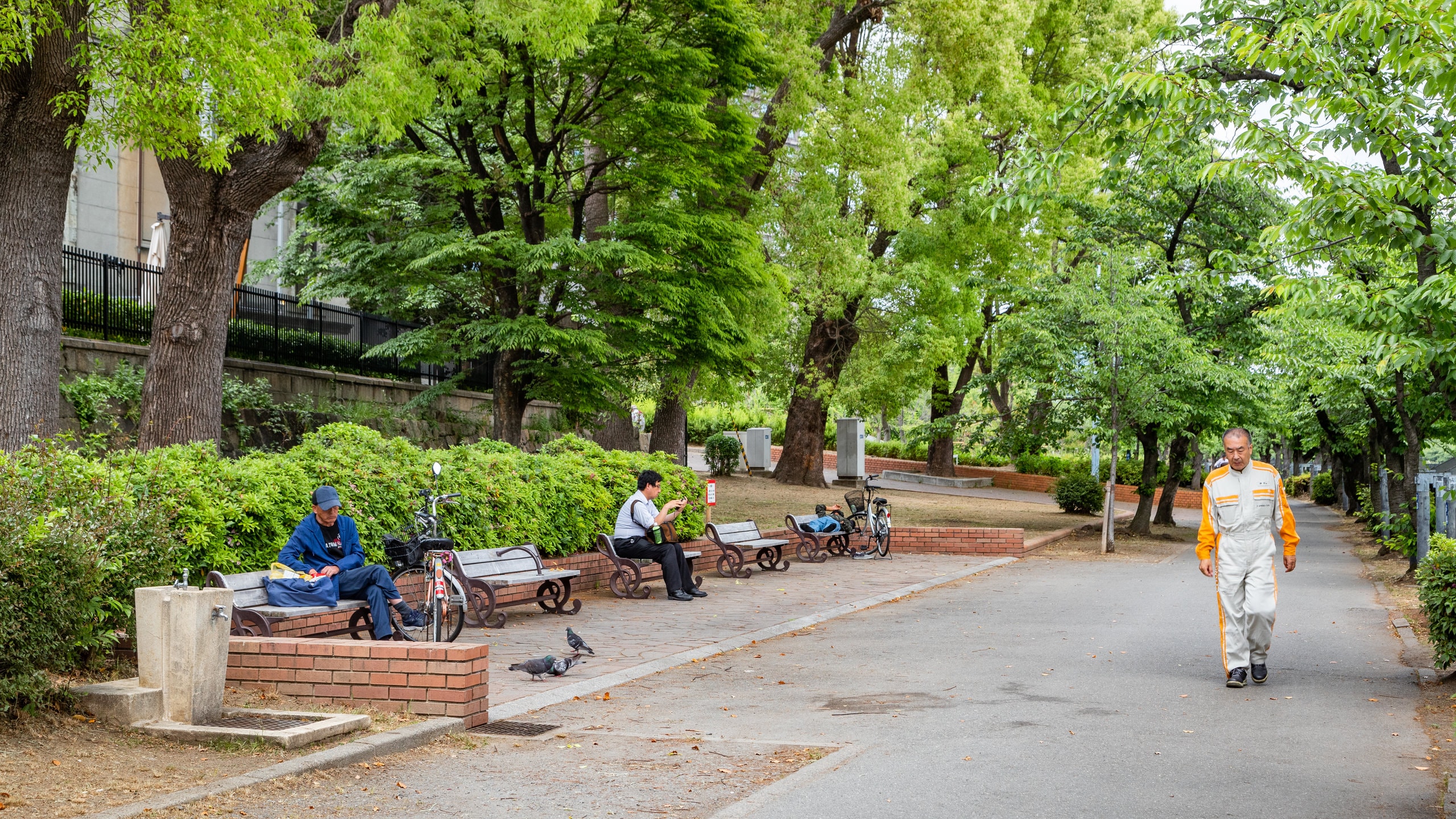 Visit Tenmabashi: 2024 Tenmabashi, Osaka Travel Guide | Expedia