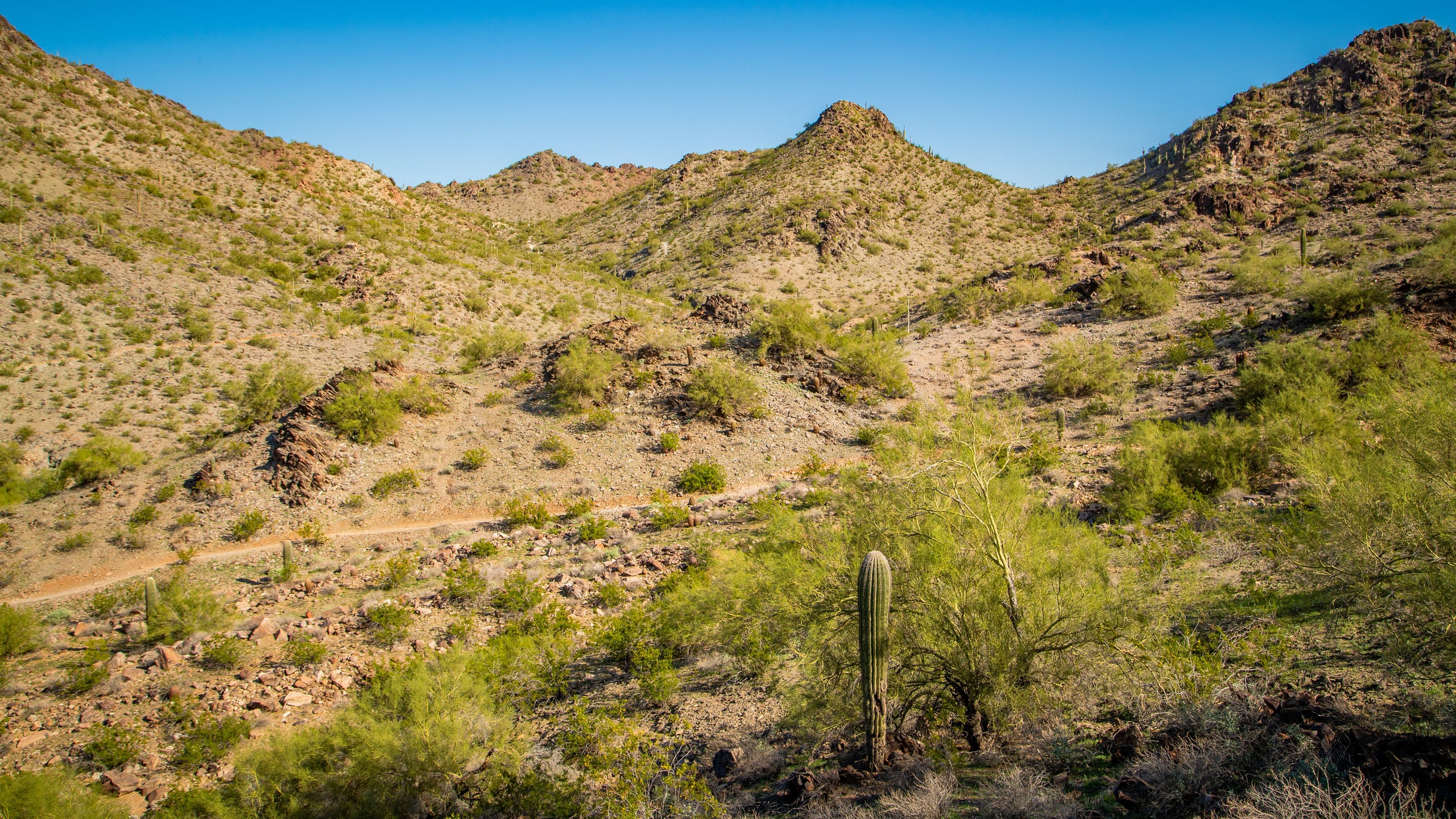 Phoenix Mountain Preserve, Phoenix Vacation Rentals: house rentals ...