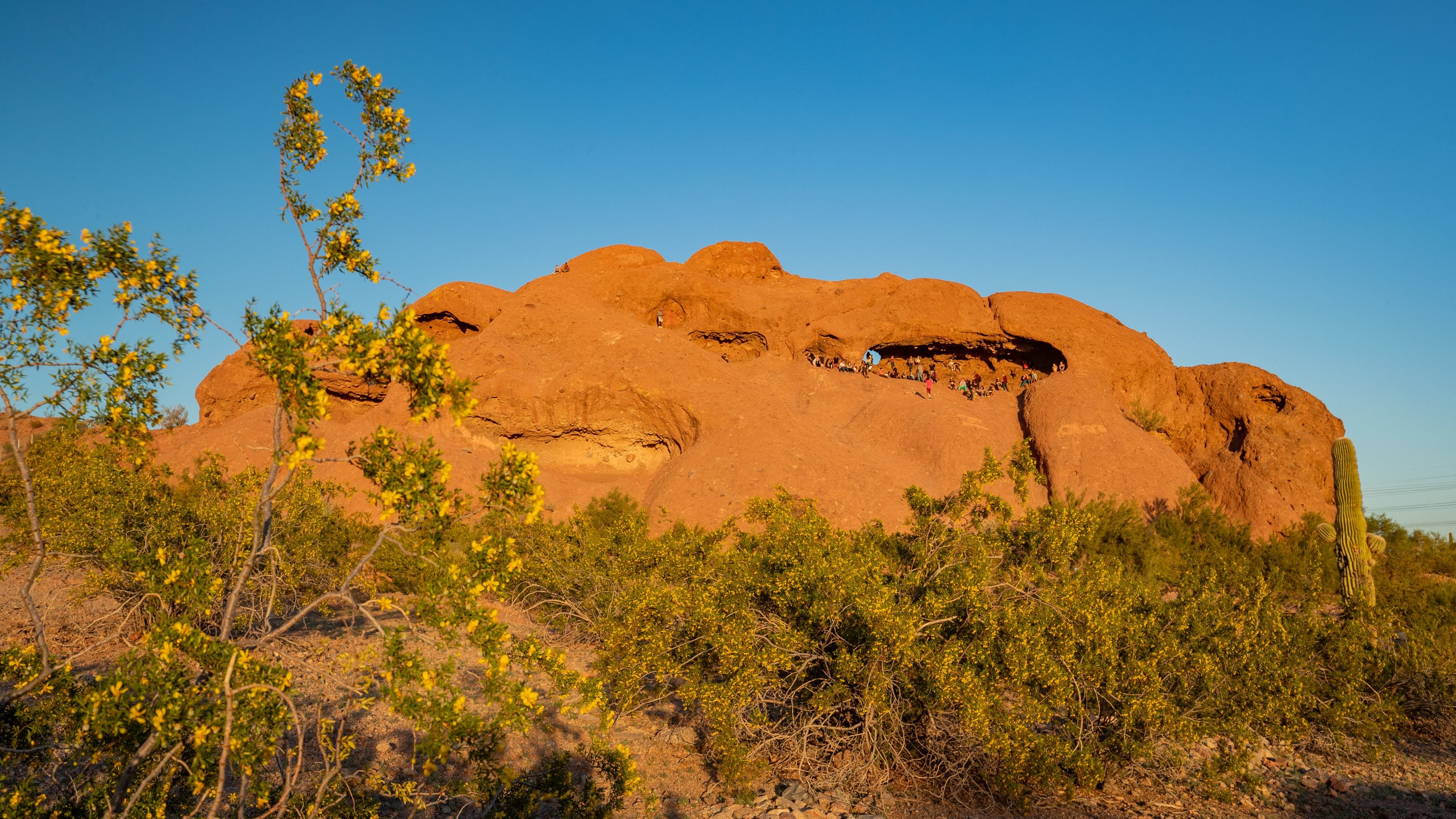 Reisetipps Camelback East: 2022 das Beste in Camelback East entdecken ...