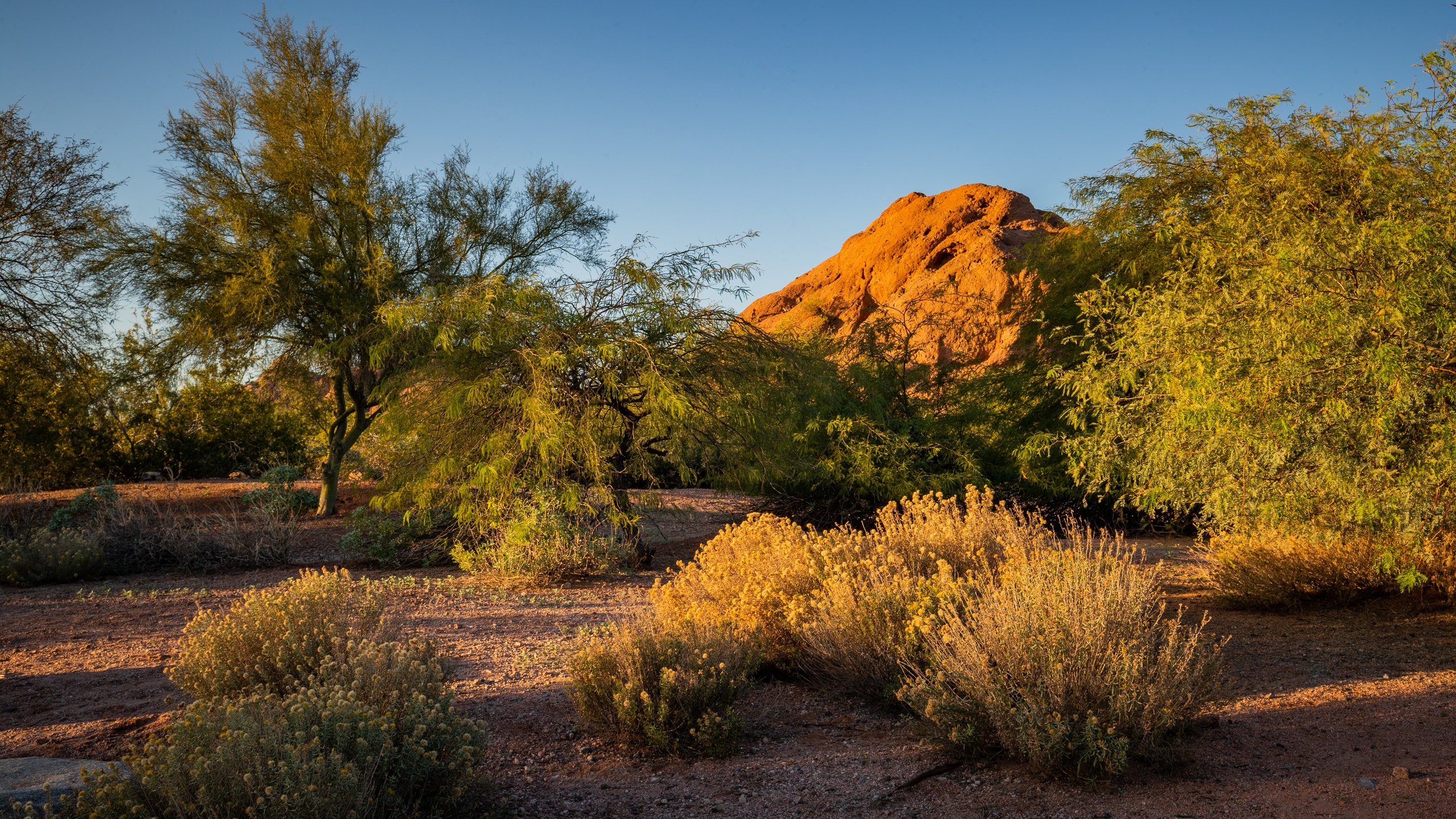 Camelback East, Phoenix holiday homes from NZ$ 122/night | Bookabach