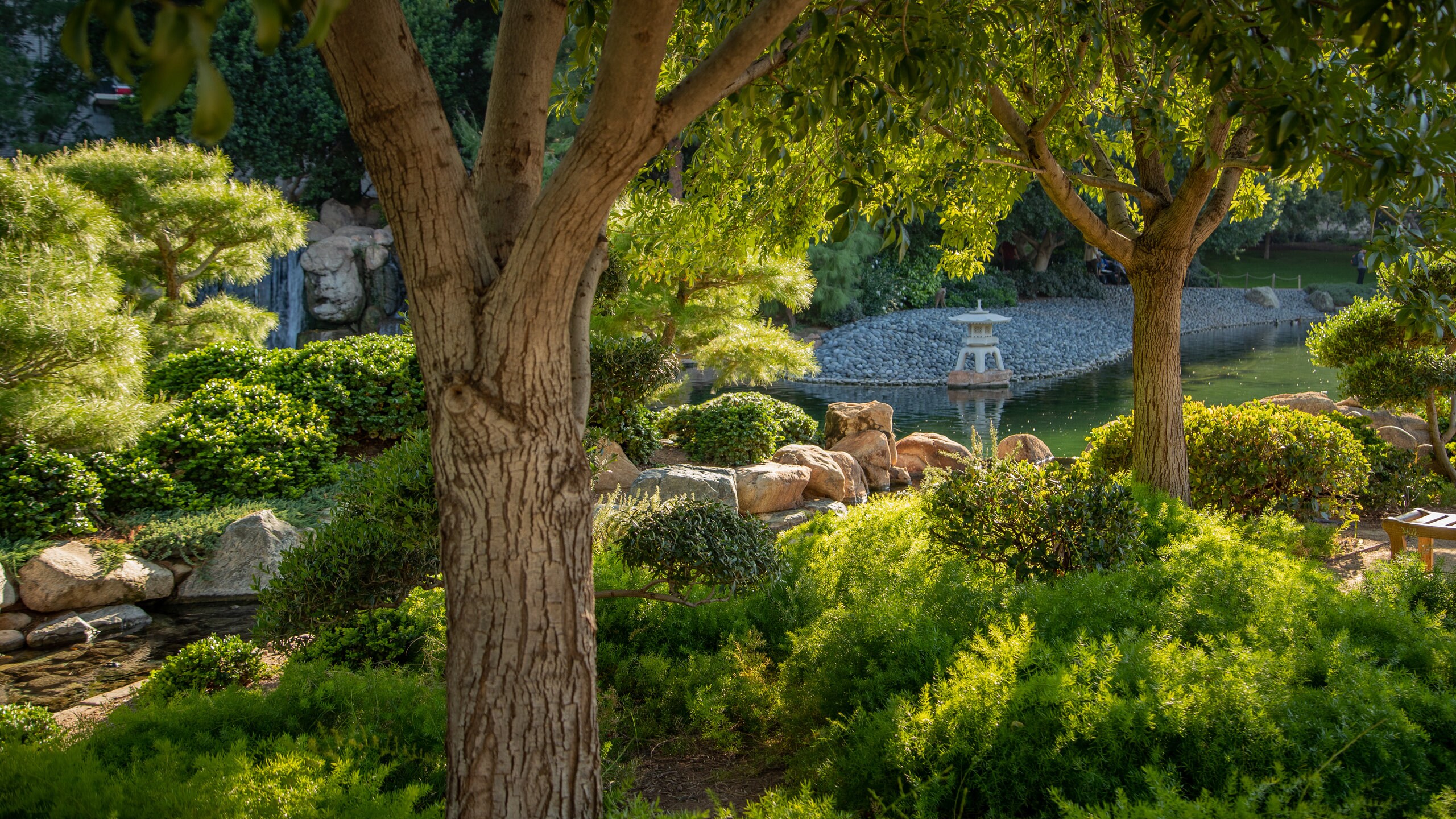 Phoenix Japanese Flower Gardens Japanese Friendship Garden Of Phoenix
