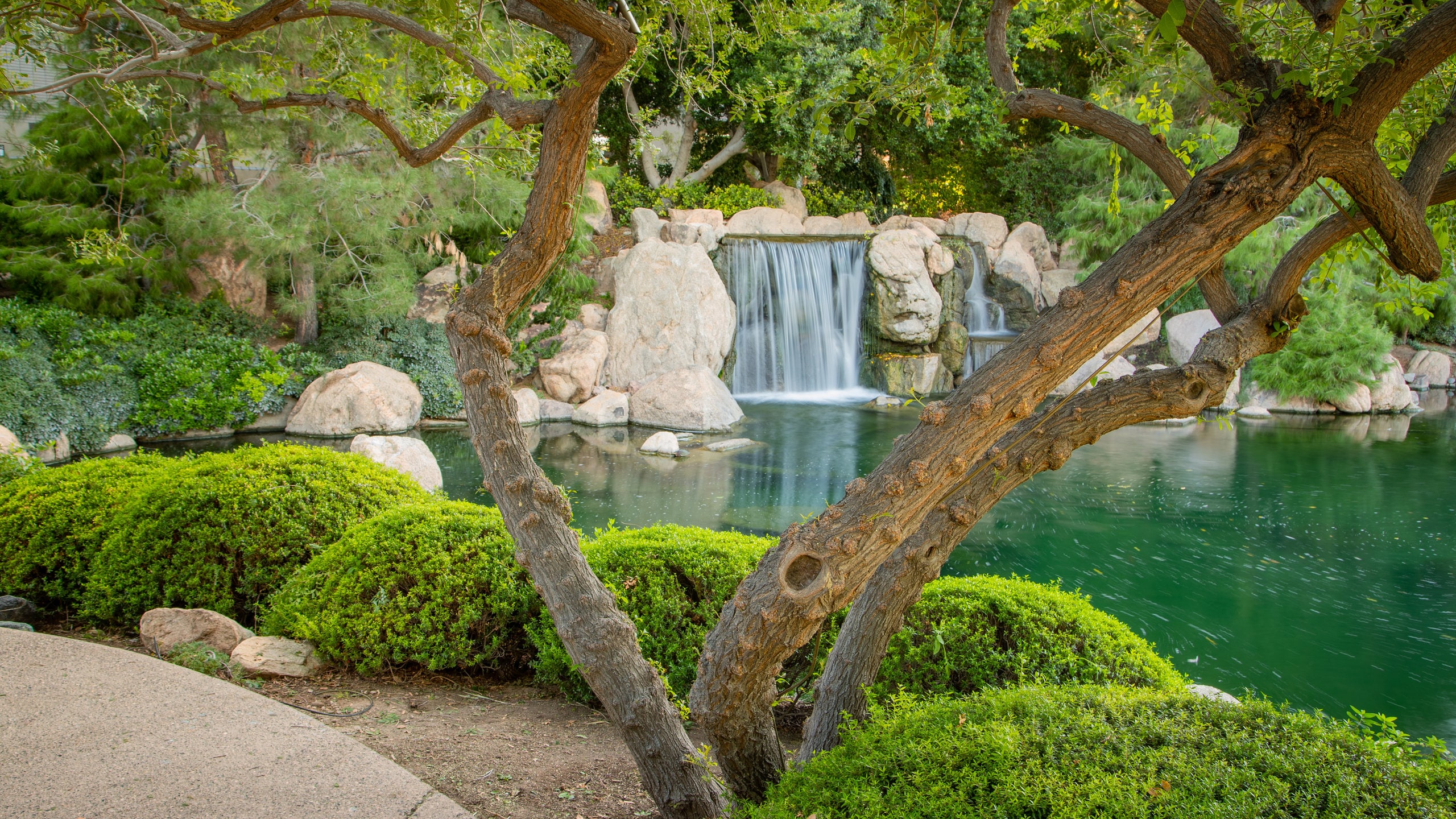 Jardines Japoneses En Phoenix, Arizona The Japanese Friendship Garden