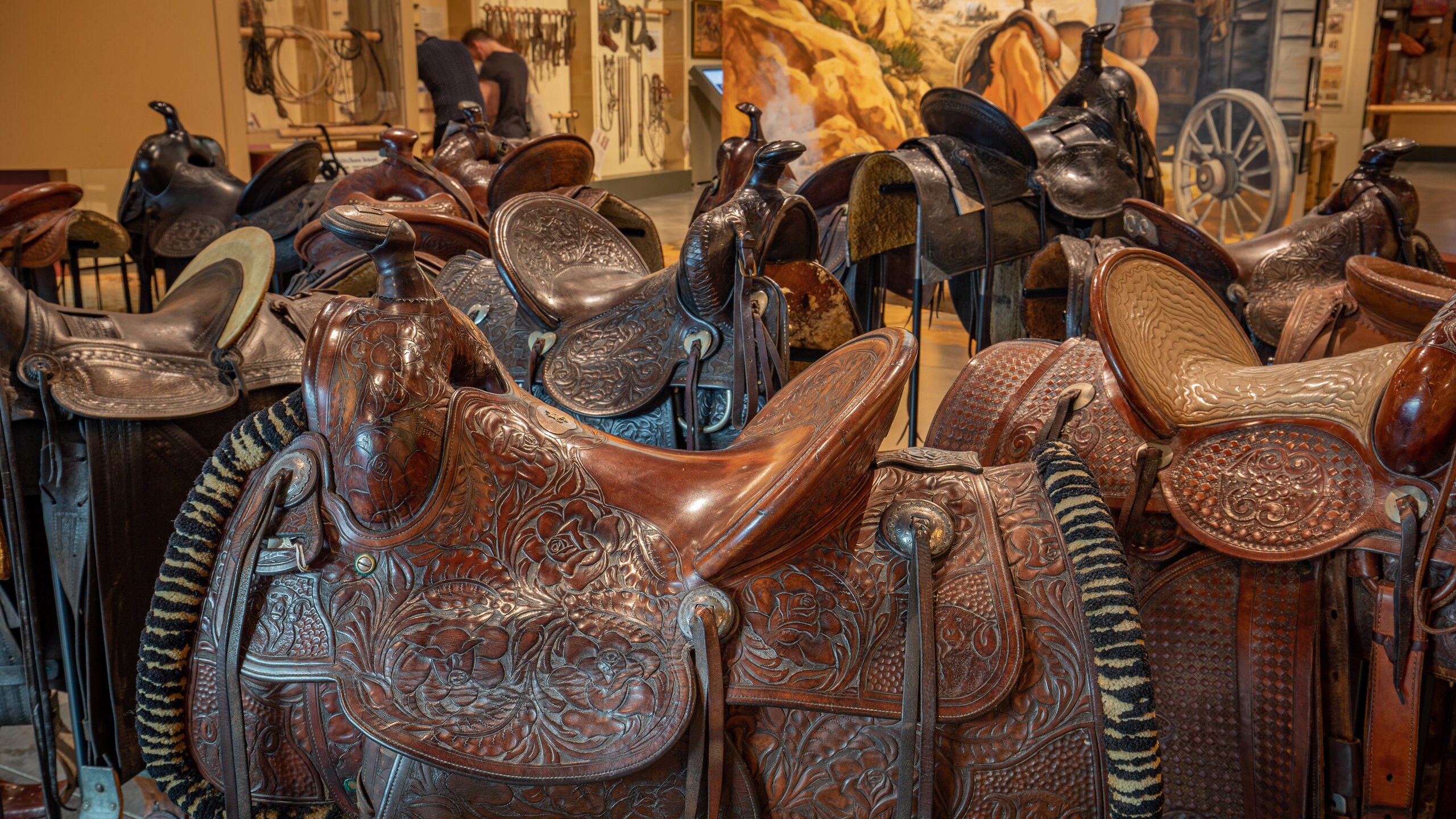 Western Spirit: Scottsdale's Museum of the West Tours - Book Now | Expedia
