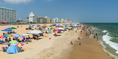 10 TOP Things to Do in Norfolk - Virginia Beach, VA (2021 Attraction ...