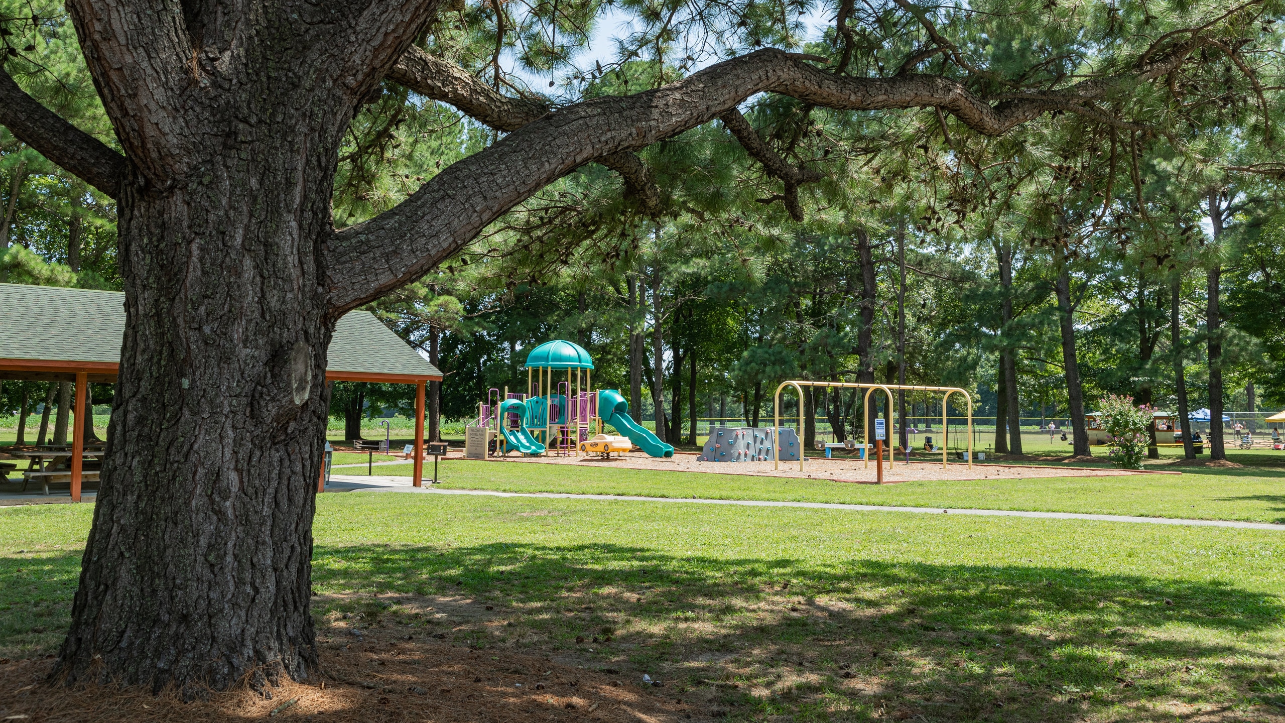 Visit Showell: 2024 Travel Guide for Showell, Berlin | Expedia