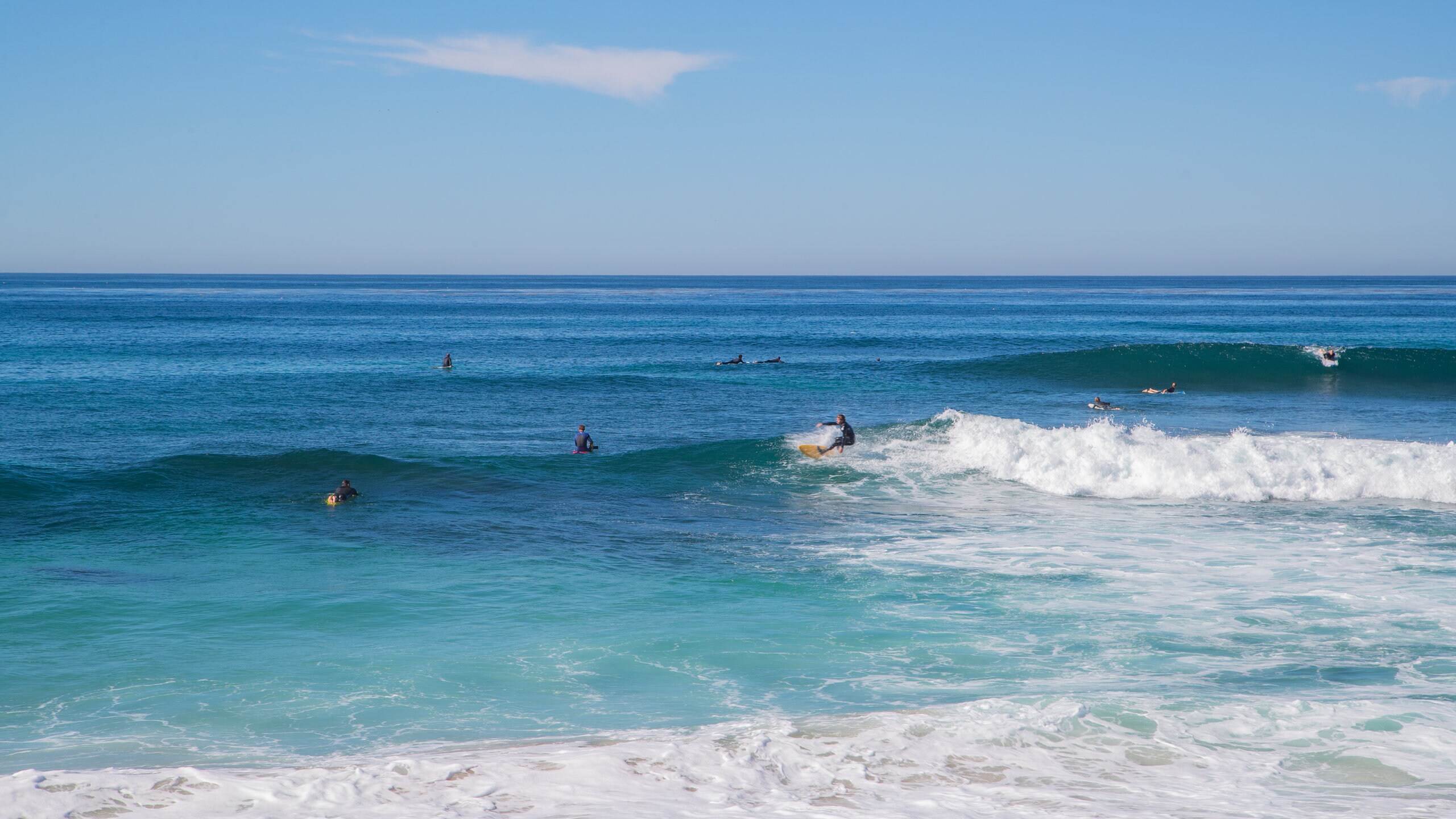 Windansea Beach Tours - Book Now | Expedia