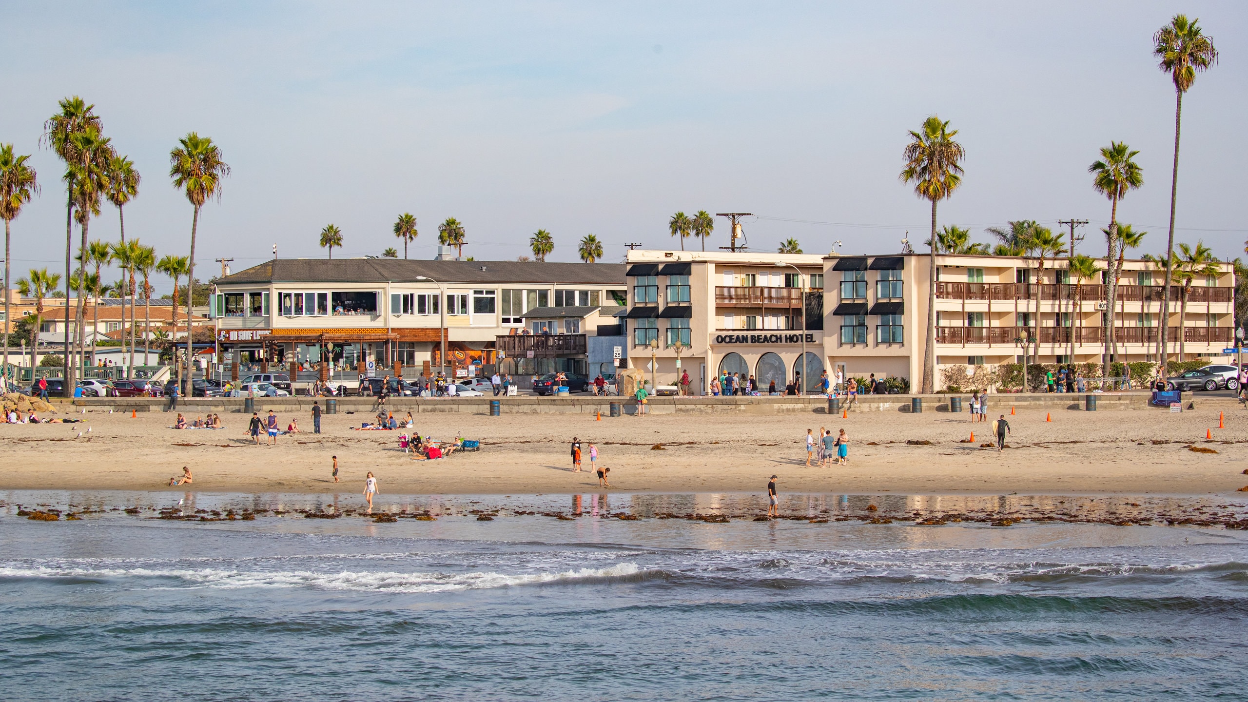 Reisetipps Ocean Beach: 2024 das Beste in Ocean Beach entdecken | Expedia