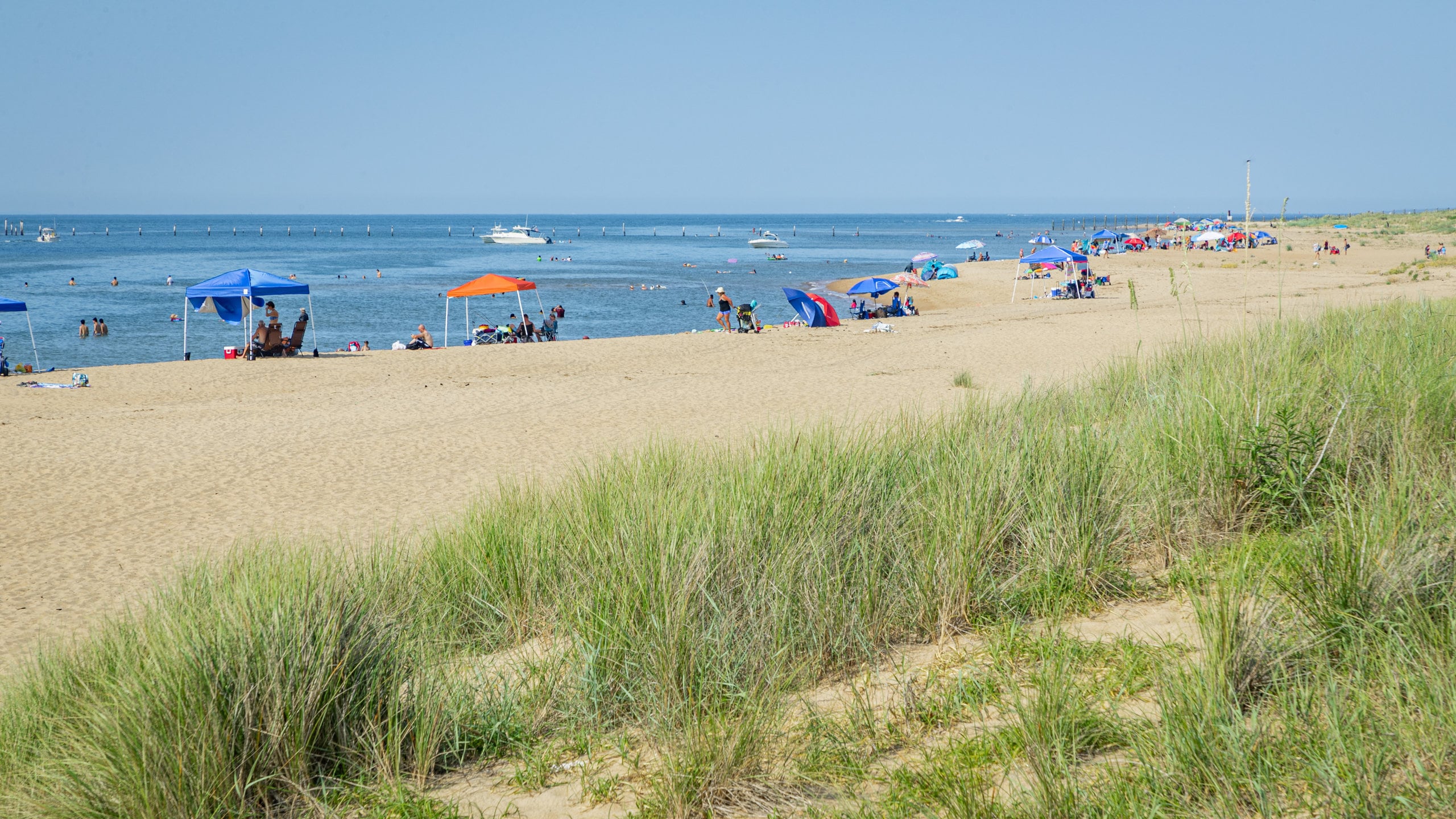 First Landing State Park in Northeast Virginia Beach | Expedia.co.in