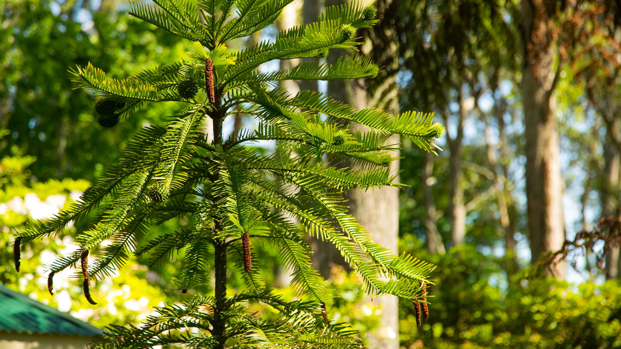 Crafers, SA holiday accommodation: holiday houses & more | Stayz